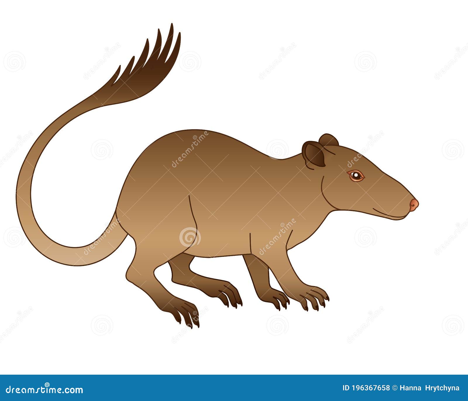 Purgatorius - Extinct Prehistoric Primate - Ancestor of Apes and Humans ...