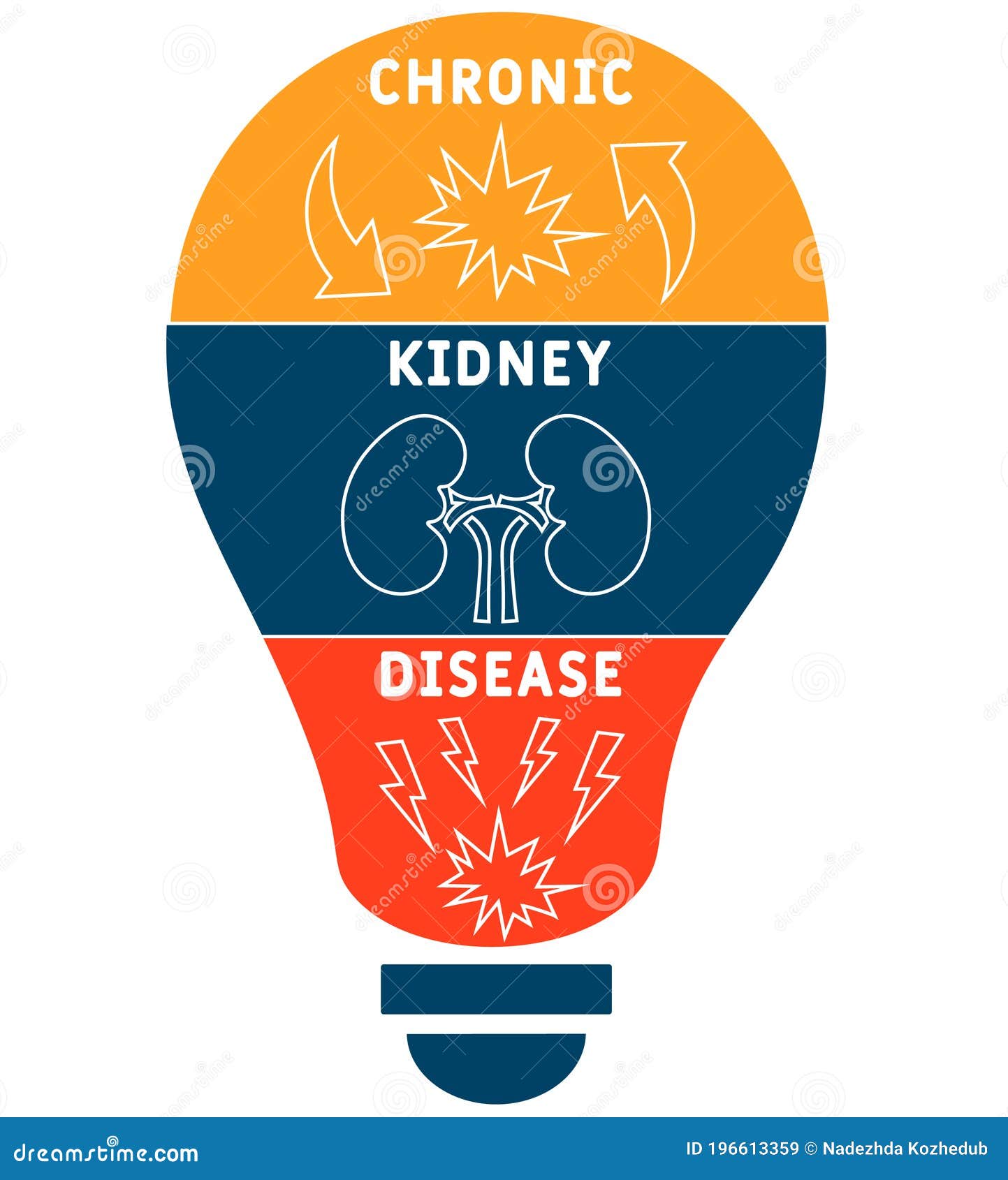Kidney And Lettering Cartoon Vector | CartoonDealer.com #213664839