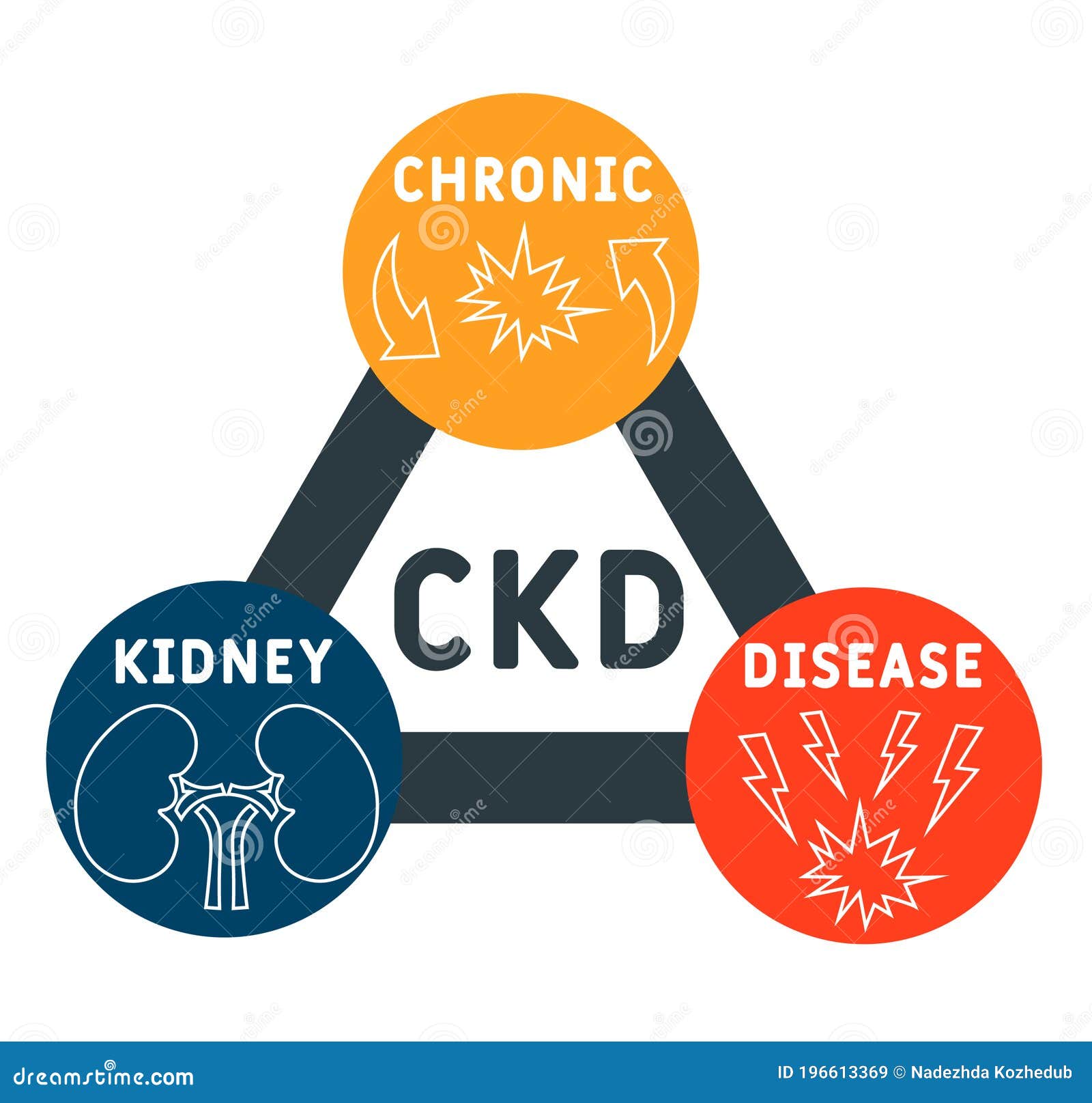 Kidney And Lettering Cartoon Vector | CartoonDealer.com #213664839