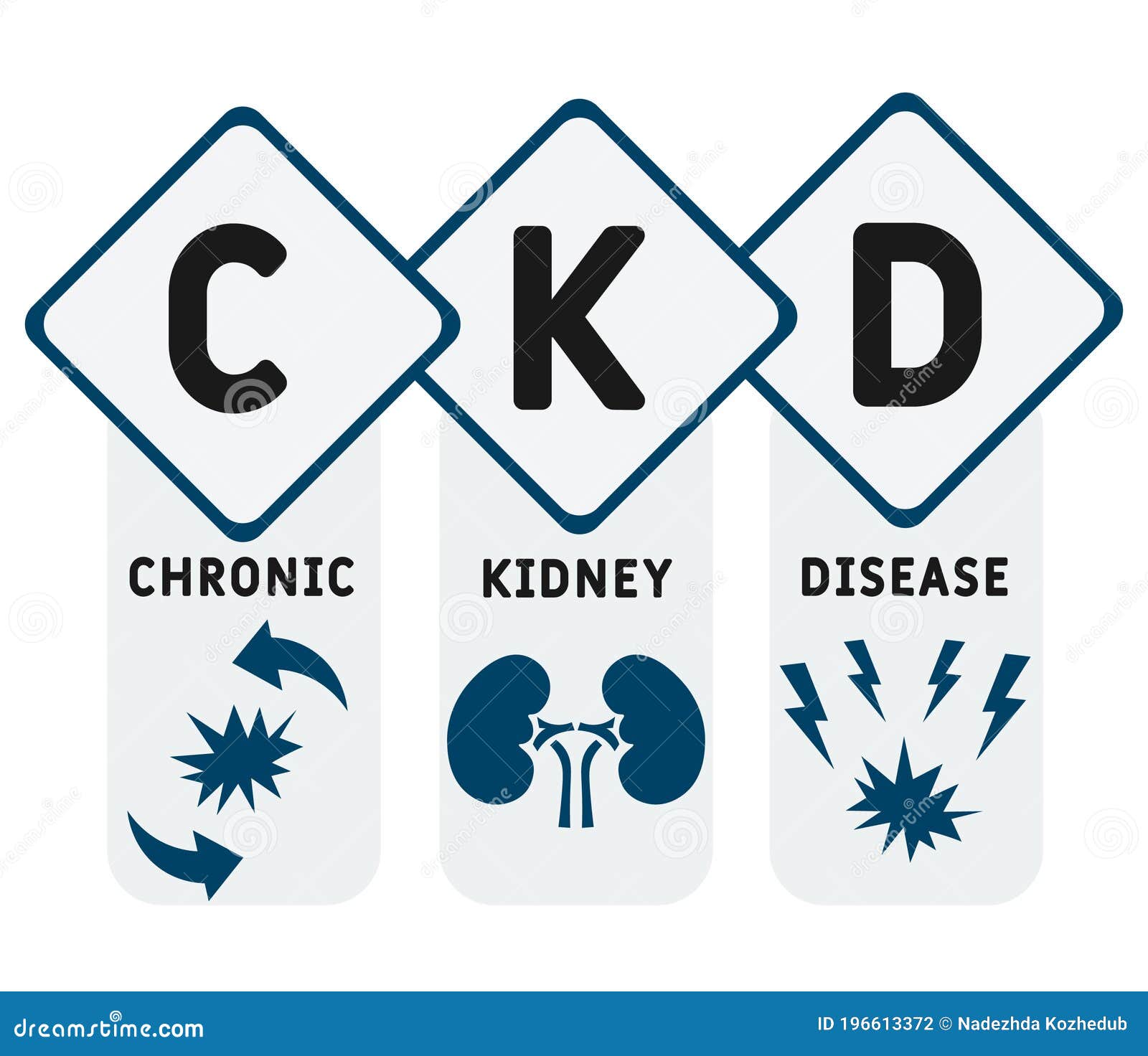 Kidney And Lettering Cartoon Vector | CartoonDealer.com #213664839