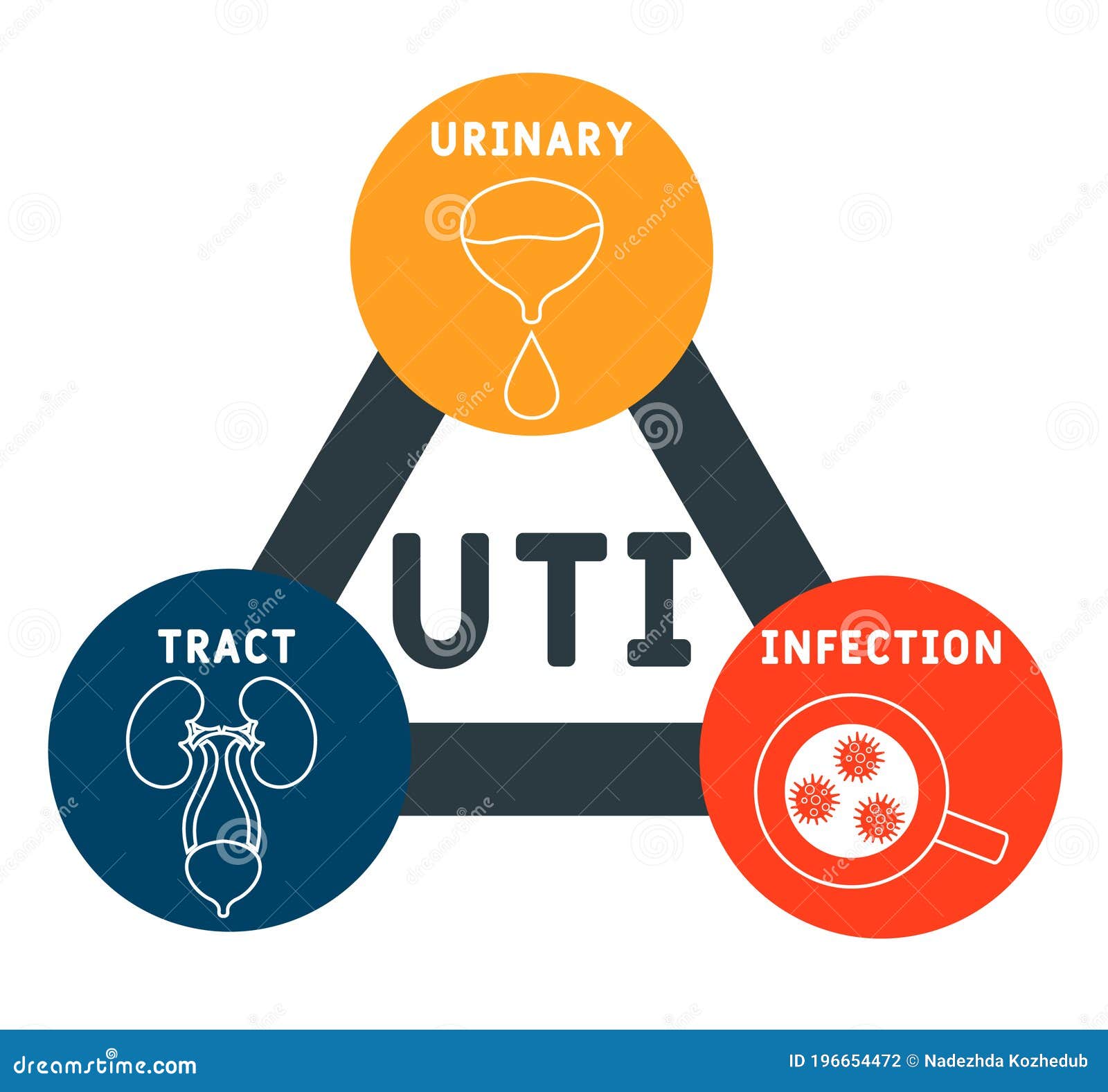 UTI - Urinary Tract Infection Acronym, Medical Concept Background ...