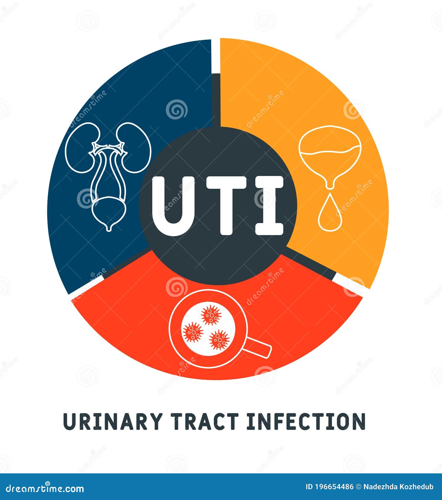UTI - Urinary Tract Infection Acronym, Medical Concept Background ...