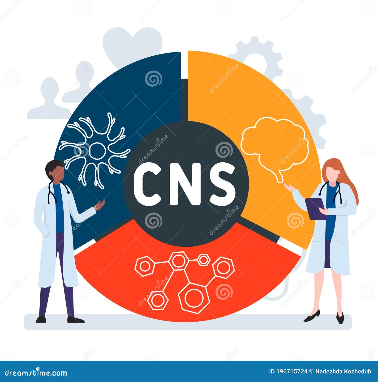 Flat Design with People. CNS - Central Nervous System Acronym, Medical ...
