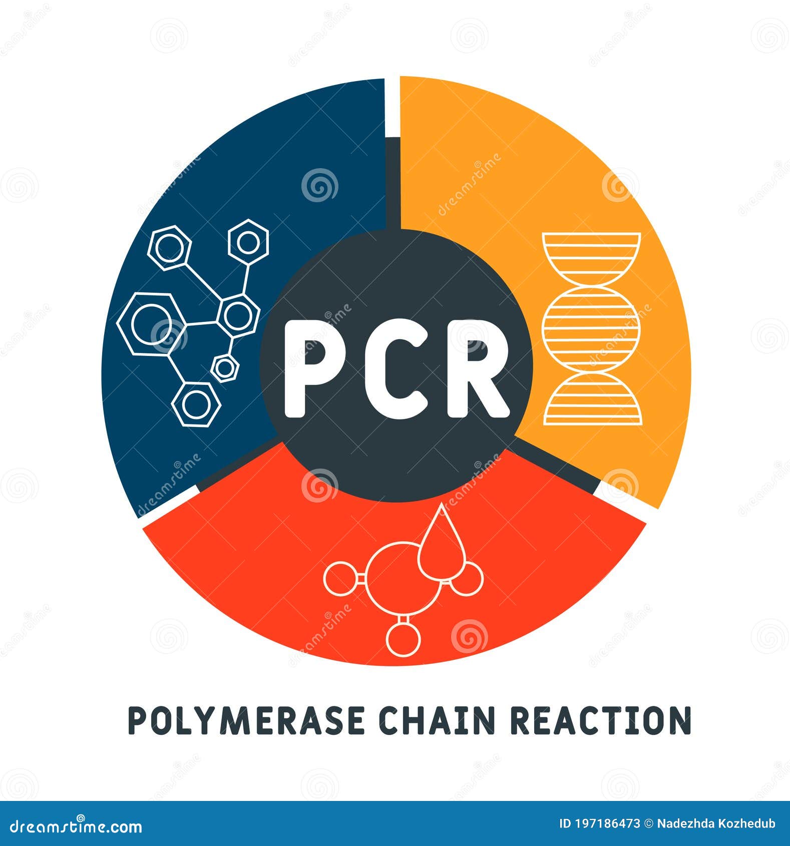 PCR - Polymerase Chain Reaction Acronym, Medical Concept Background ...