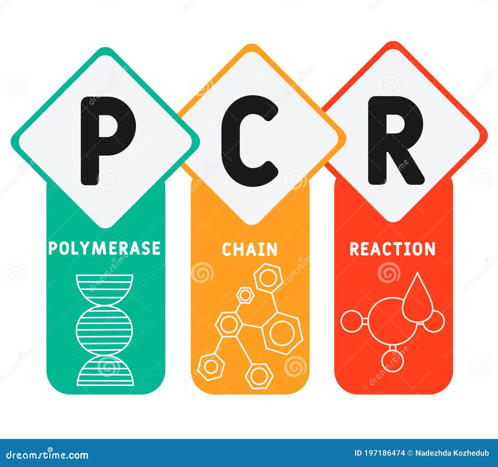 PCR - Polymerase Chain Reaction Acronym, Medical Concept Background ...