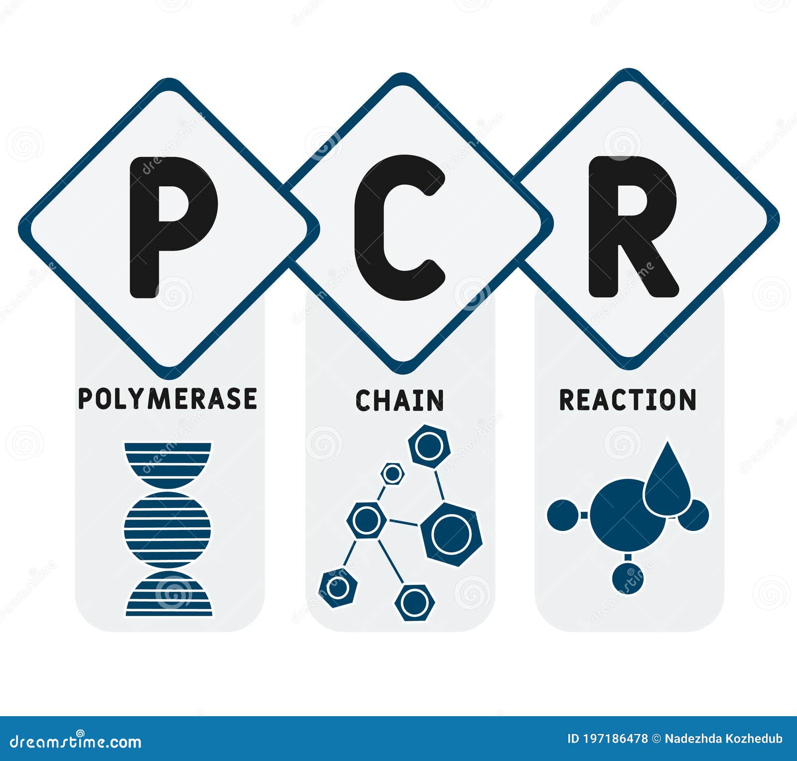 PCR - Polymerase Chain Reaction Acronym, Medical Concept Background ...