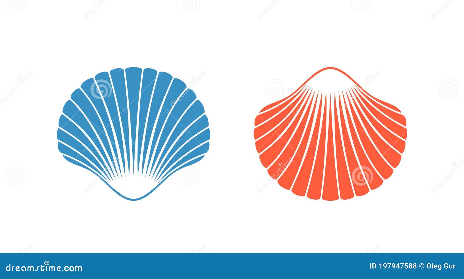 Scallop Logo. Hand Drawn Vector Illustration Isolated On White ...