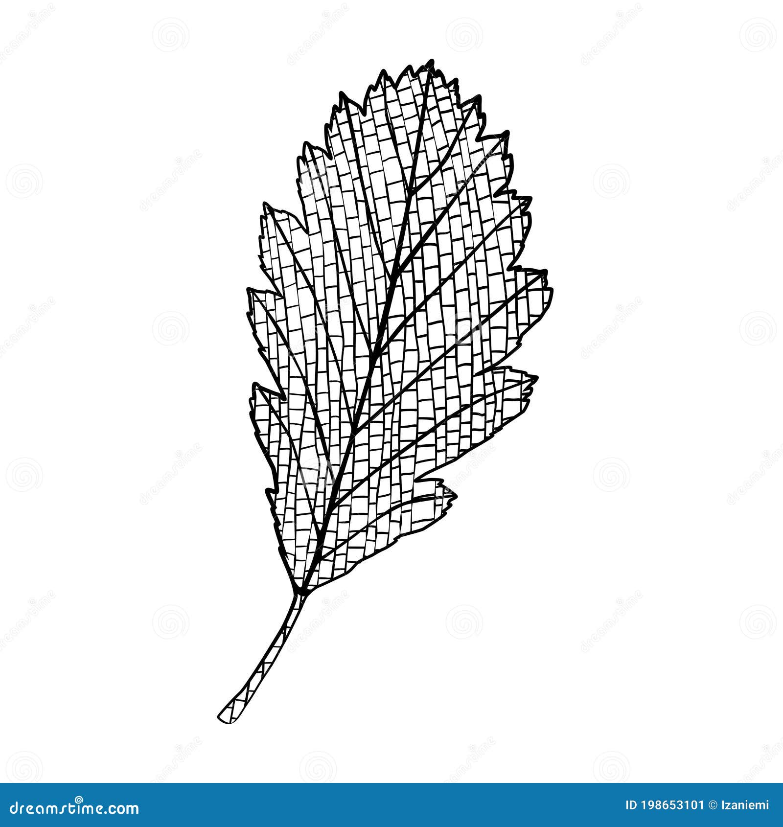 Elm Tree Leaf with Abstract Pattern Stock Vector - Illustration of ...