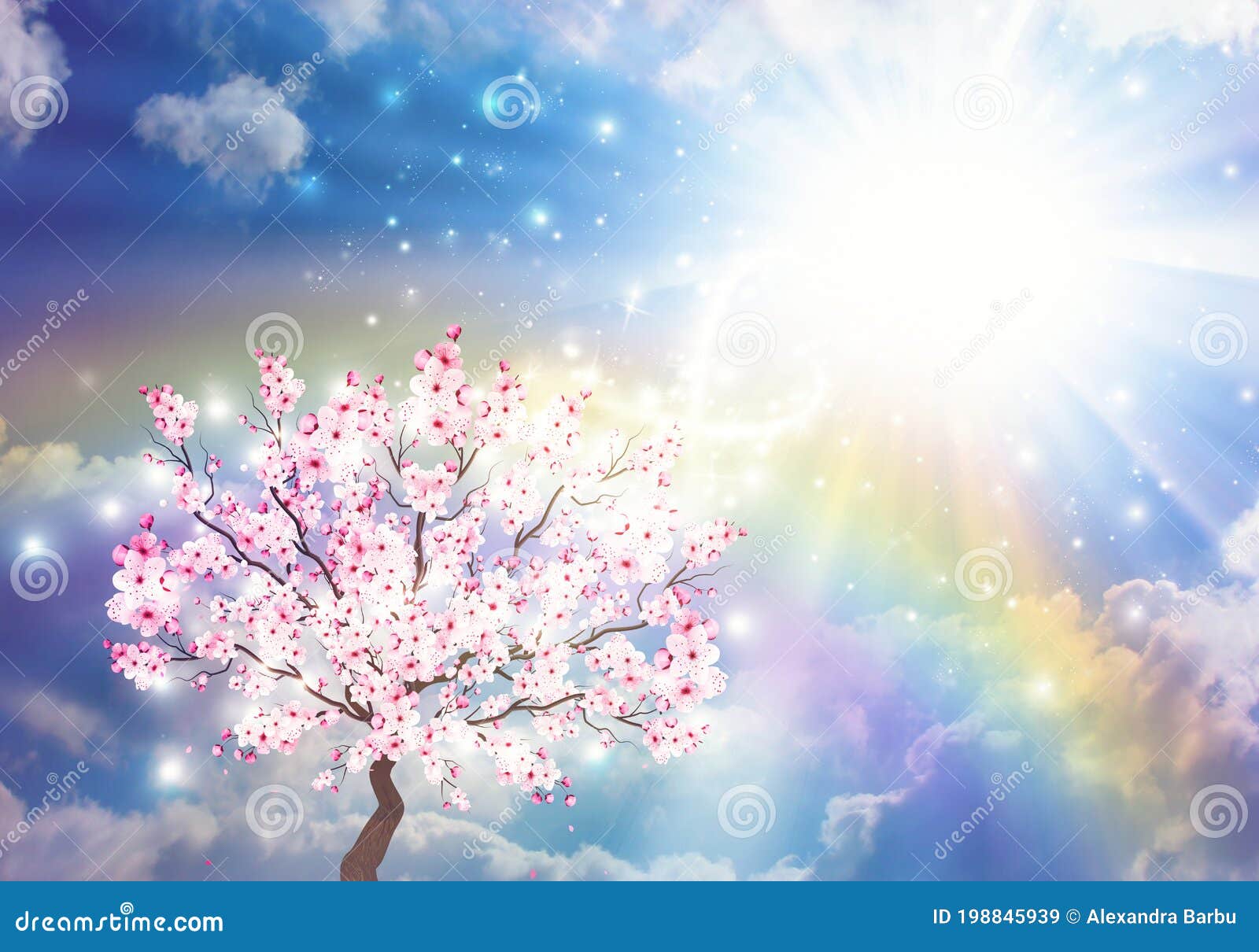 Wish Tree, Spiritual Healing, Rainbow on Sky Over Clouds, Bright Sun ...