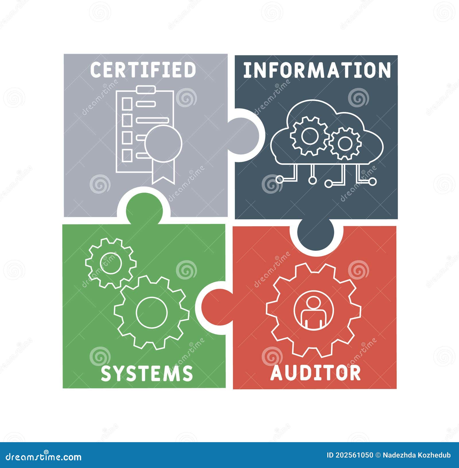 CISA - Certified Information Systems Auditor Acronym, Business Concept ...