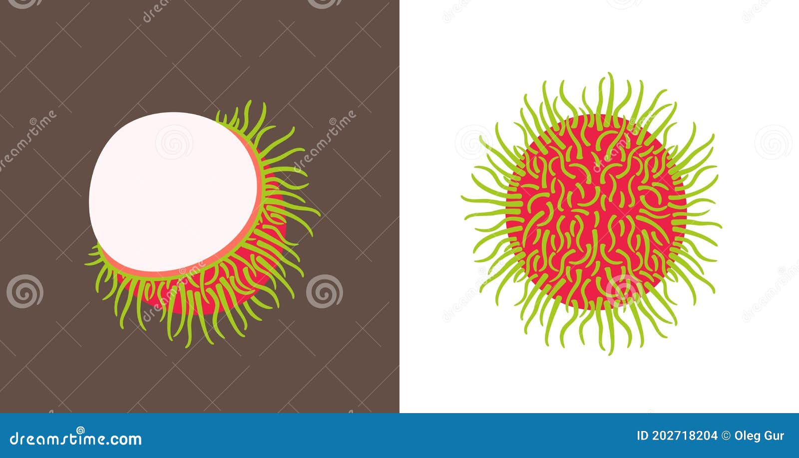 Rambutan Logo. Isolated Rambutan on White Background Stock Vector ...