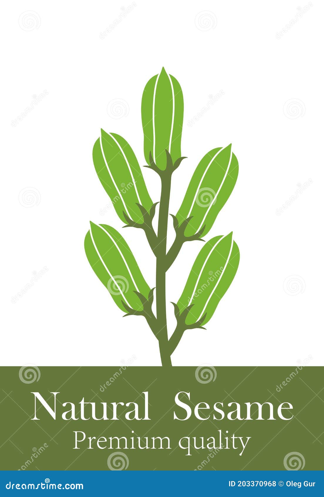 Sesame Logo. Isolated Sesame On White Background Cartoon Vector ...