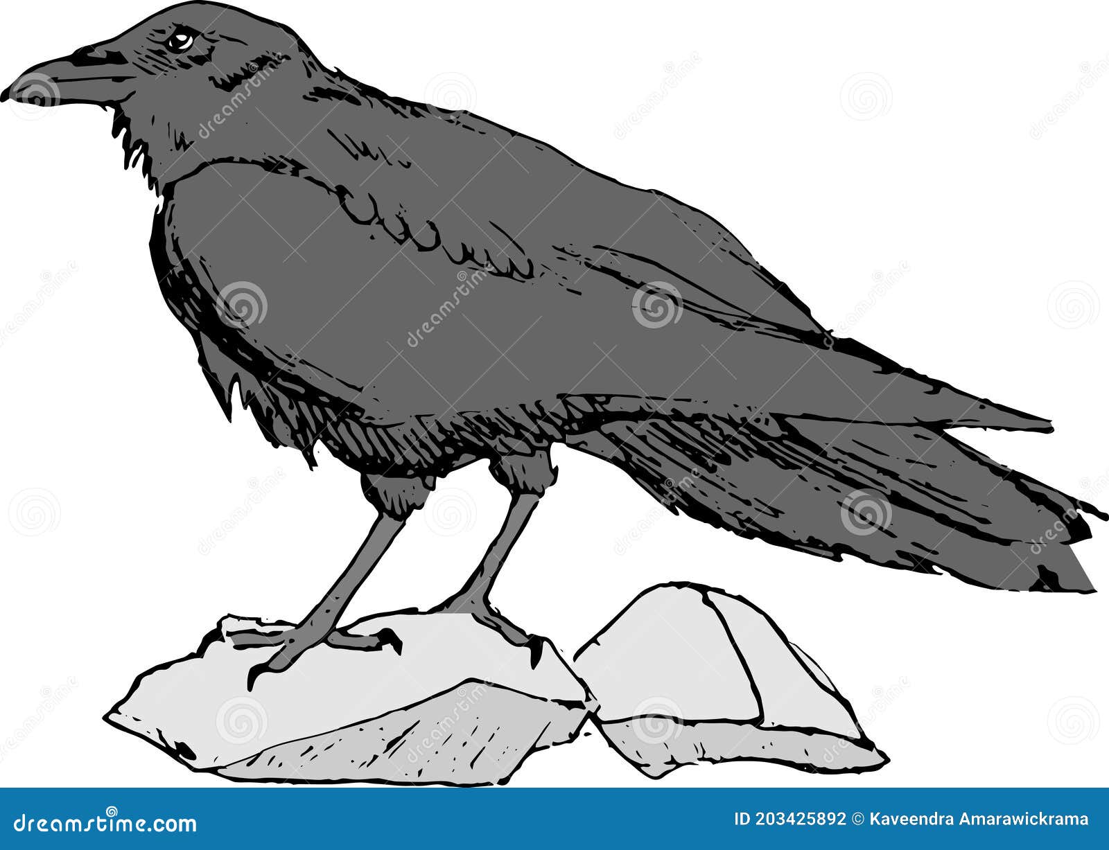 Crow Illustration In The Style Of Ephraim Moses Lilien Stock Image ...