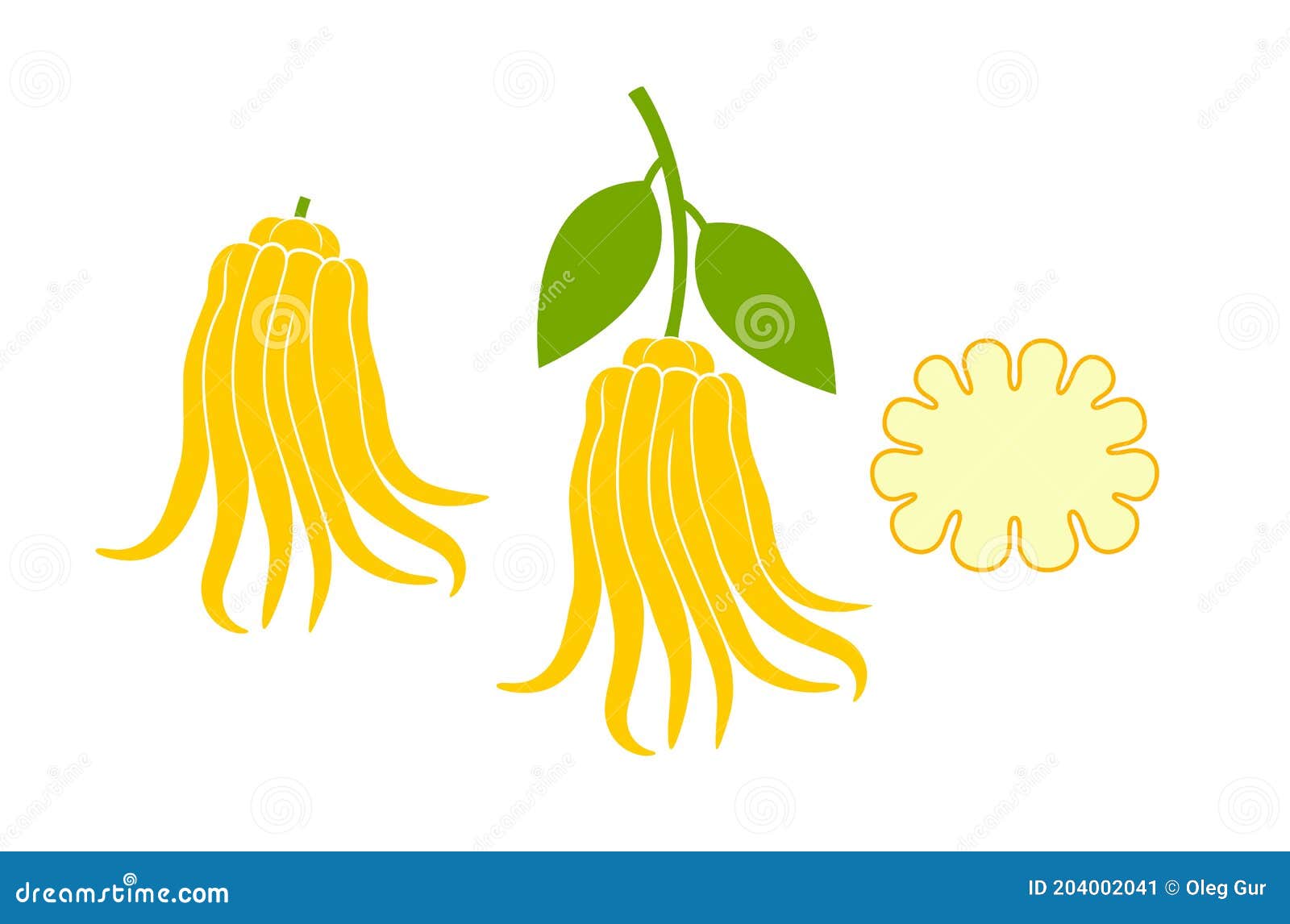 Buddhas Fruit Flat Vector Illustration | CartoonDealer.com #157077490