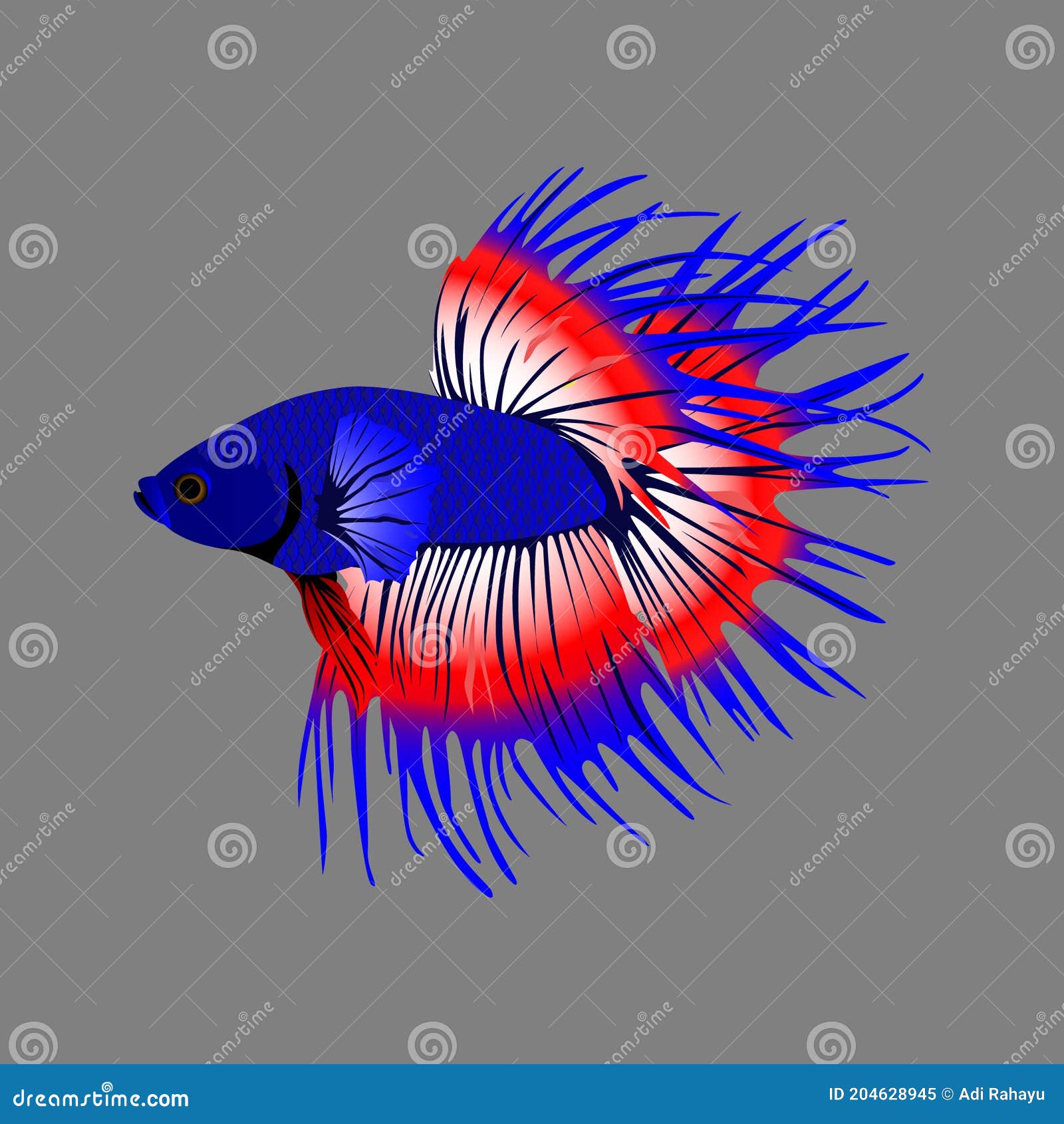 Betta Fish Thailand Flag Color Vector Image. Stock Vector ...