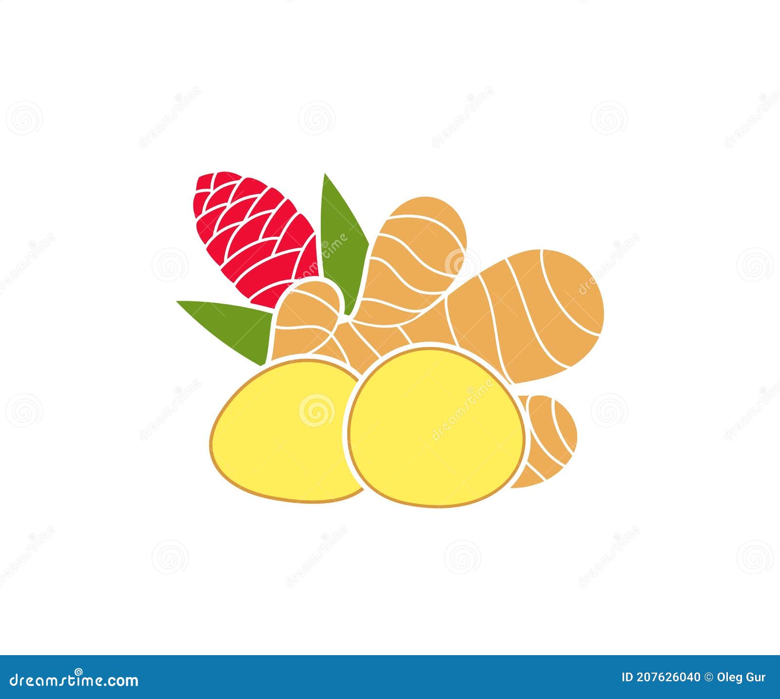 Ginger Plant. Isolated Ginger Plant on White Background Stock Vector ...