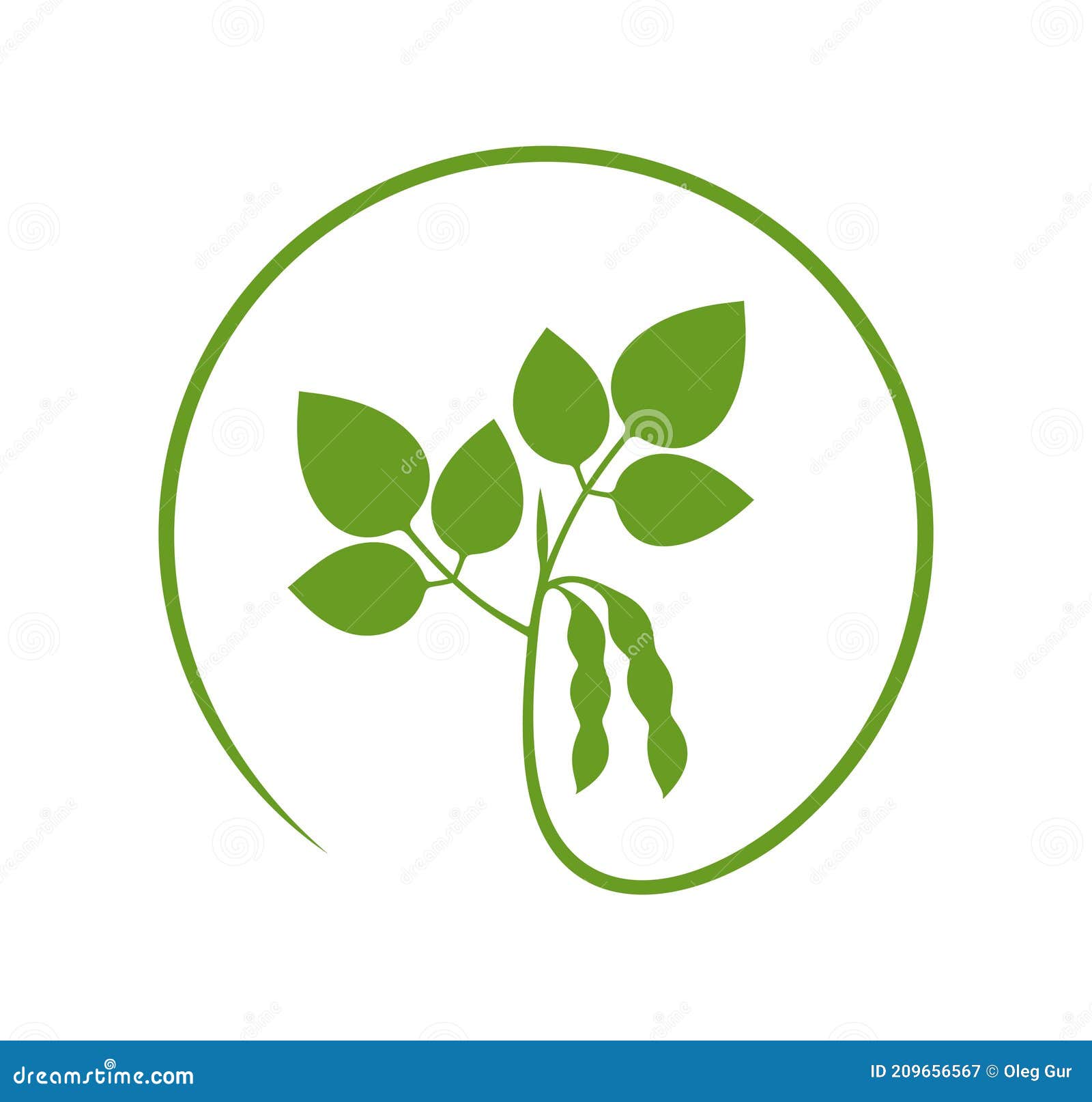 Soybean Logo. Isolated Soybean on White Background Stock Vector ...