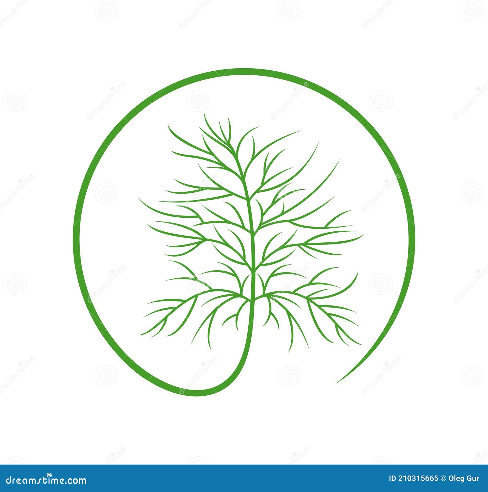 Dill Logo. Isolated Dill on White Background Stock Vector ...