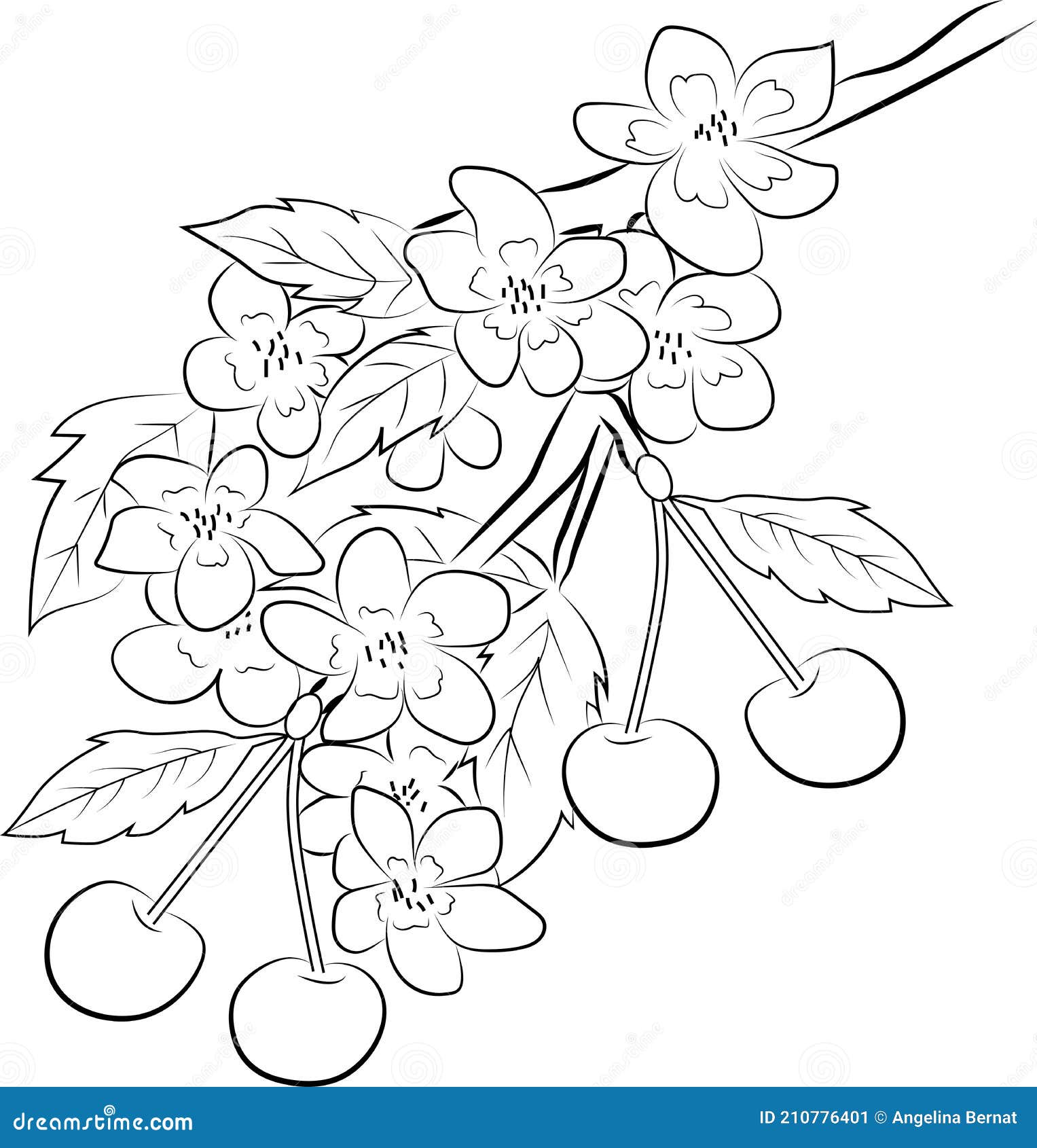 Coloring Page with Cherry Tree Stock Illustration - Illustration of ...