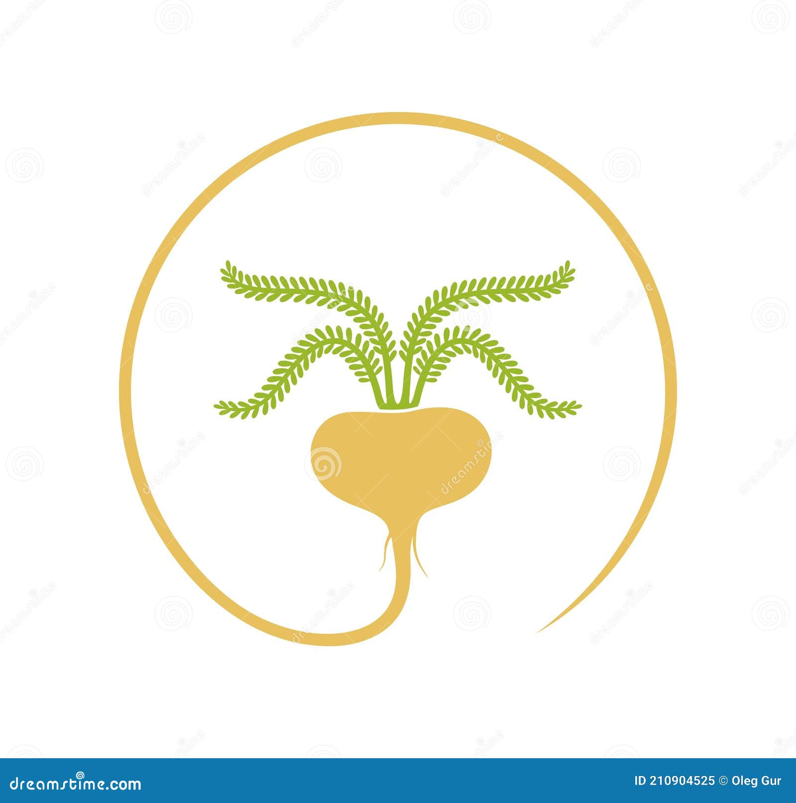 Maca Logo. Round Linear Logo Of Maca Superfood Cartoon Vector | CartoonDealer.com #198158251