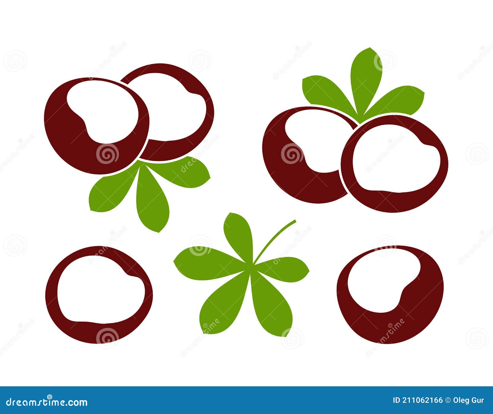 Chestnut Logo. Isolated Chestnut on White Background Stock Vector ...