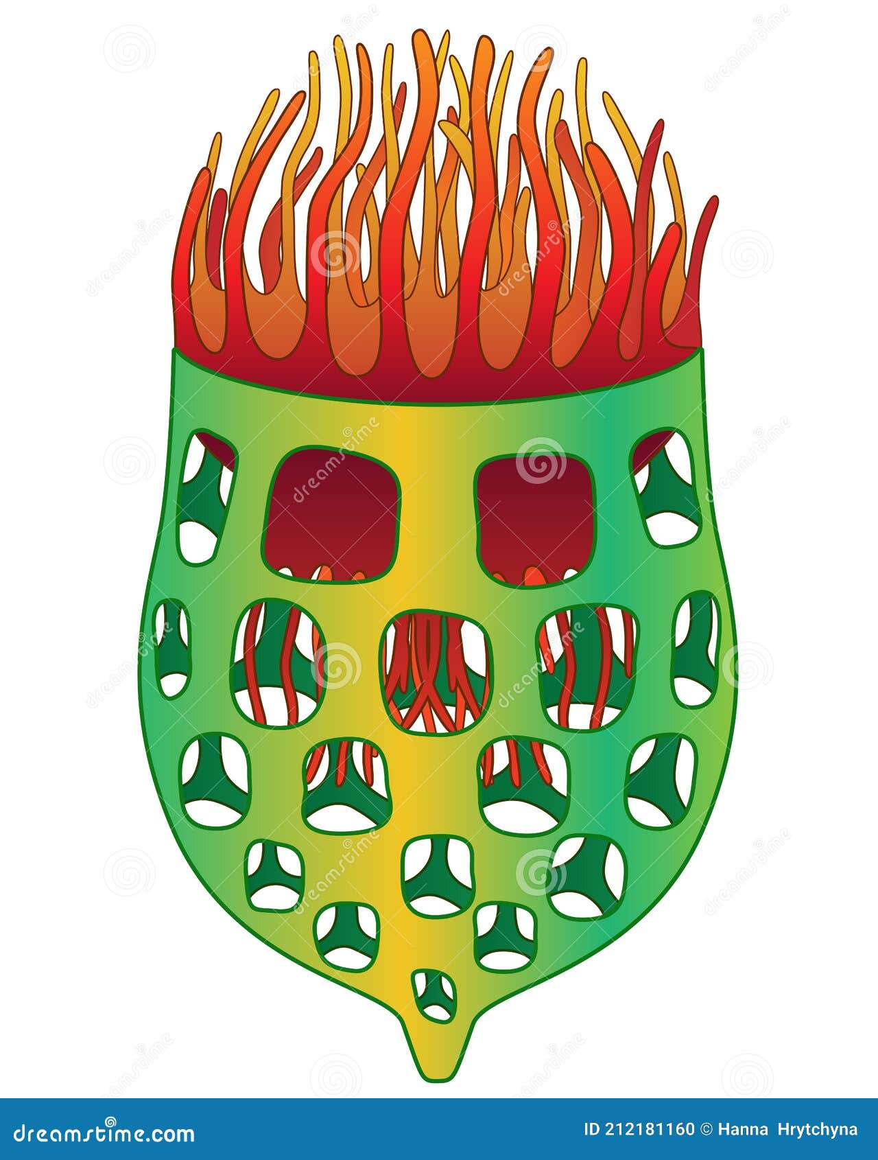 Ciliate Building Stock Illustrations – 2 Ciliate Building Stock ...
