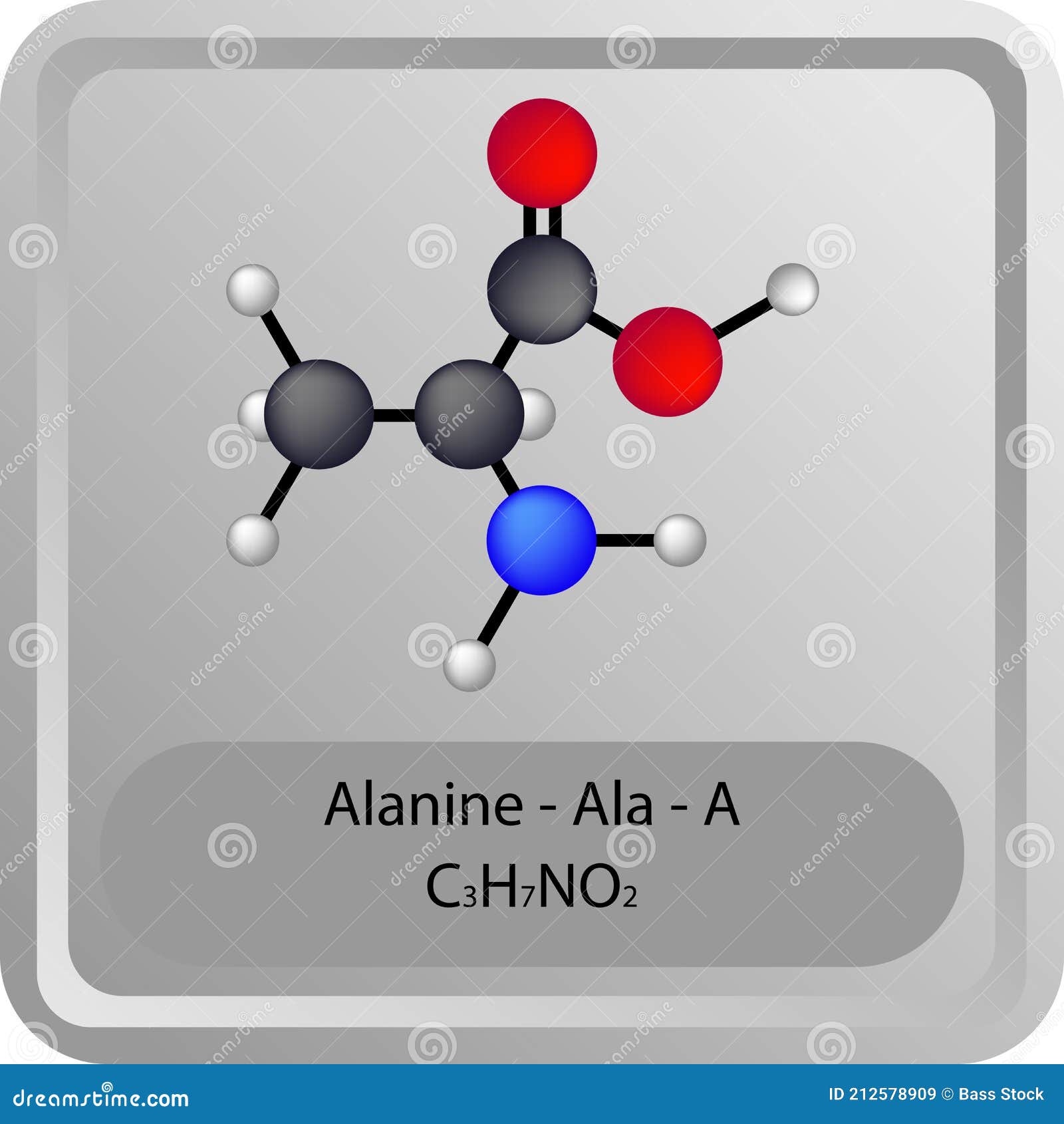 Alanine Amino Acid Structure