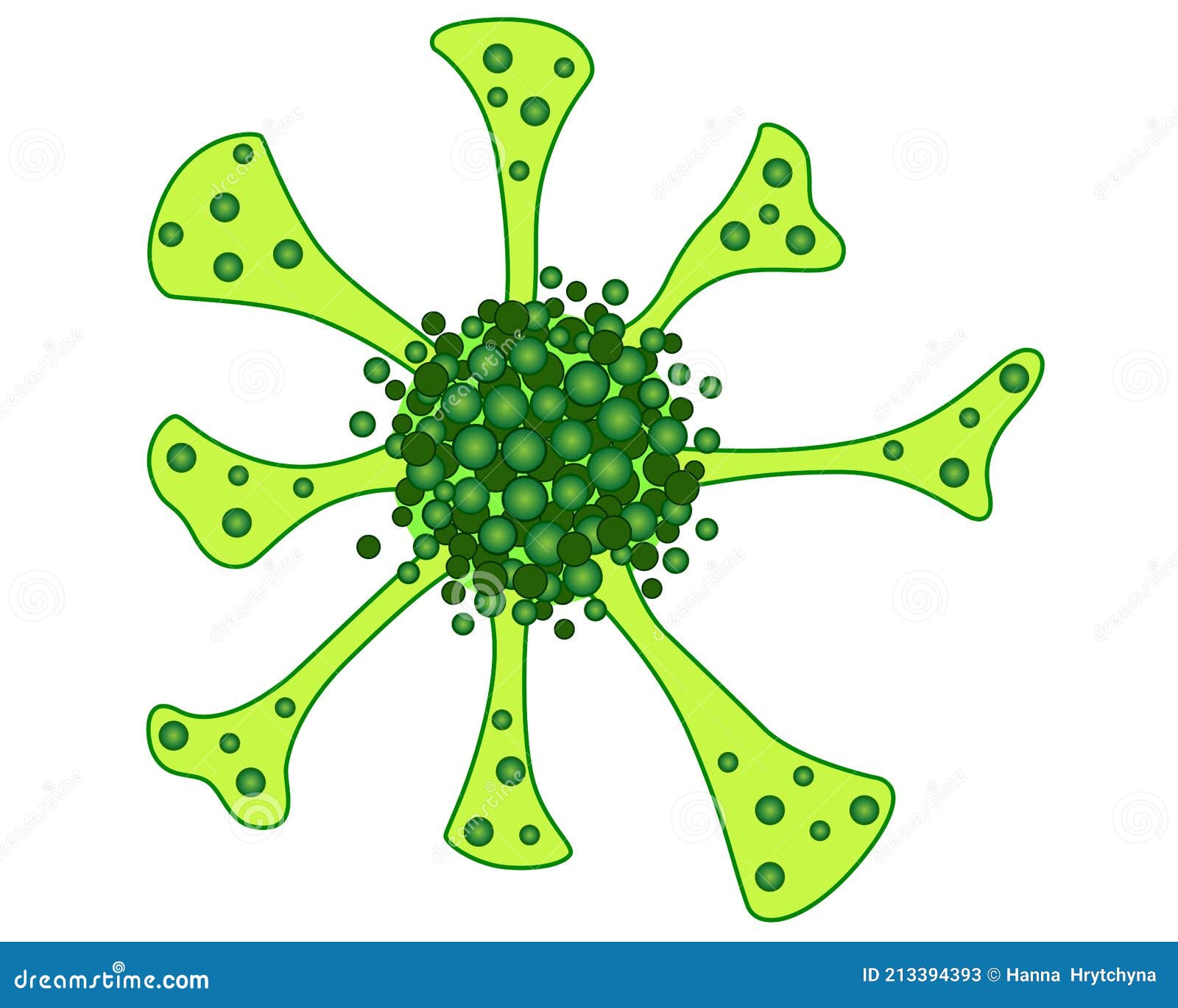 Stentor, Ciliate, Ciliate Trumpeter, Ciliate Colony, Trumpet ...