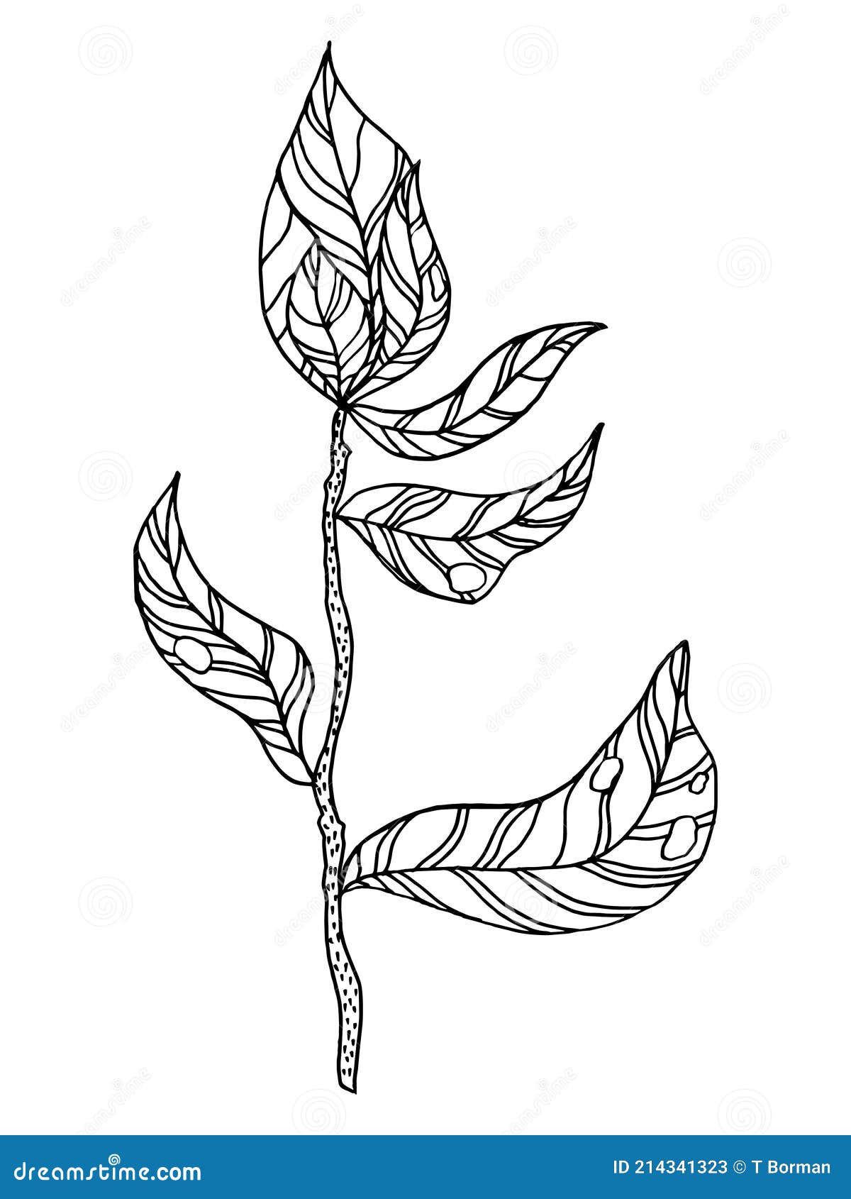 Branch with Leaves.Vector Hand Drawing Branches with Leaves and Stripes ...