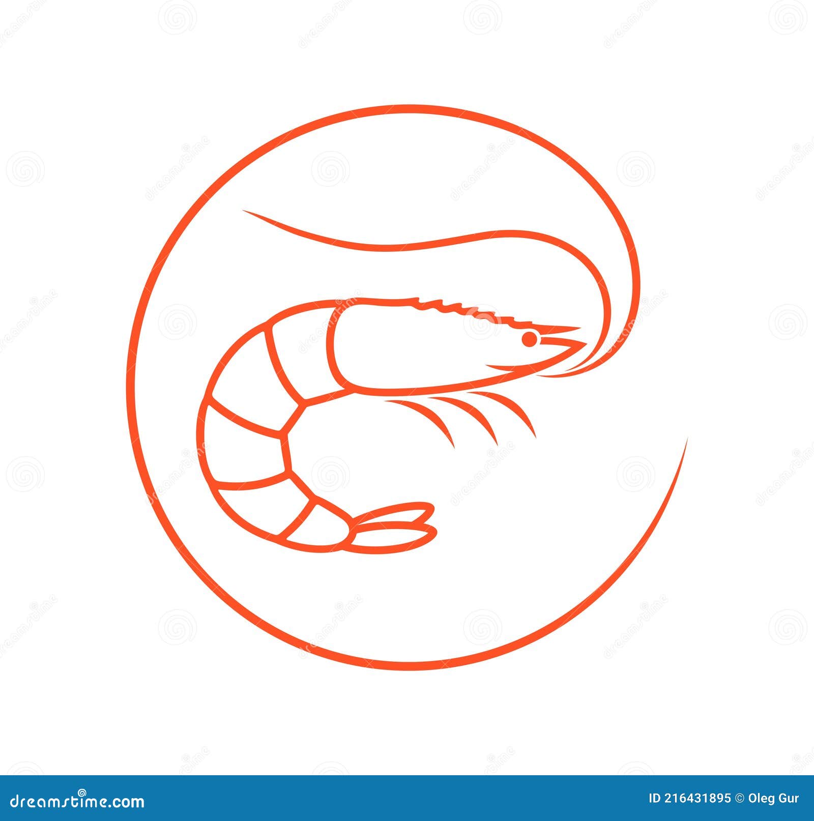Shrimp Outline. Isolated Shrimp On White Background. Prawns Vector ...