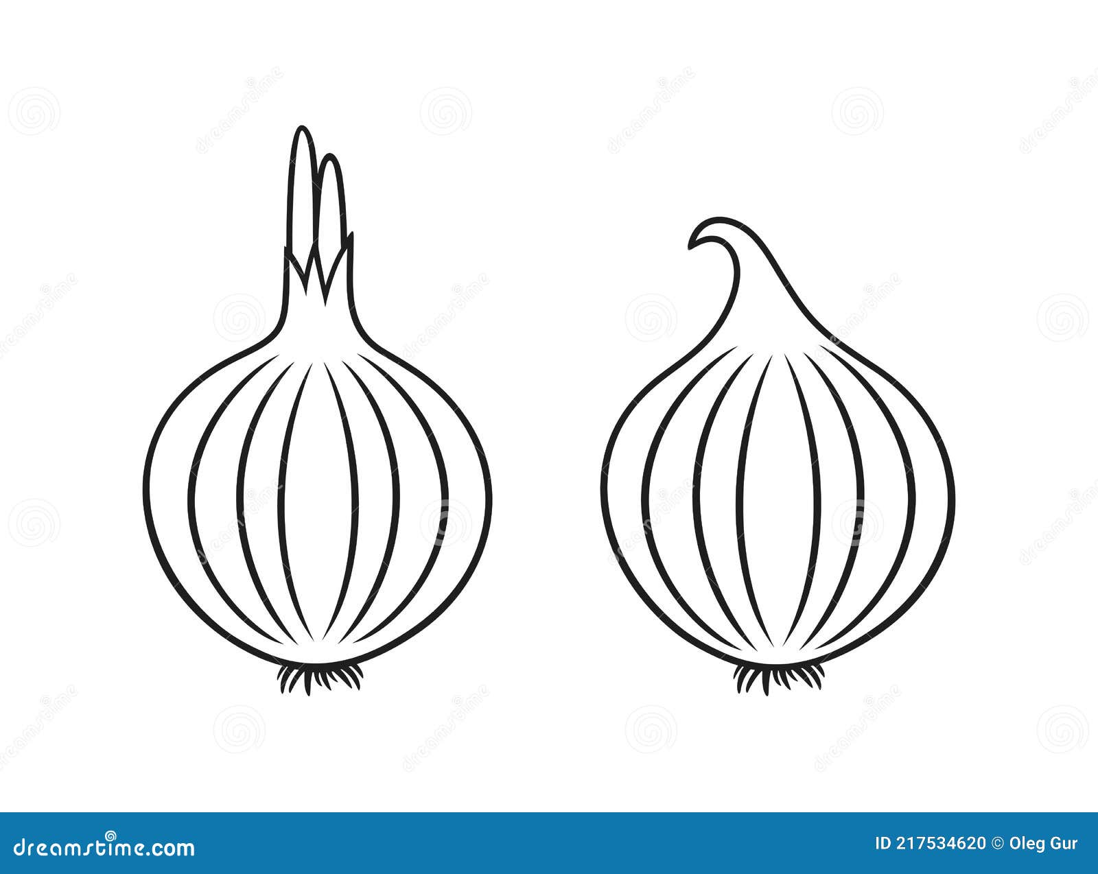 Onion Cut Outline In Cartoon Style, Onion Cut For Coloring Isolated On ...