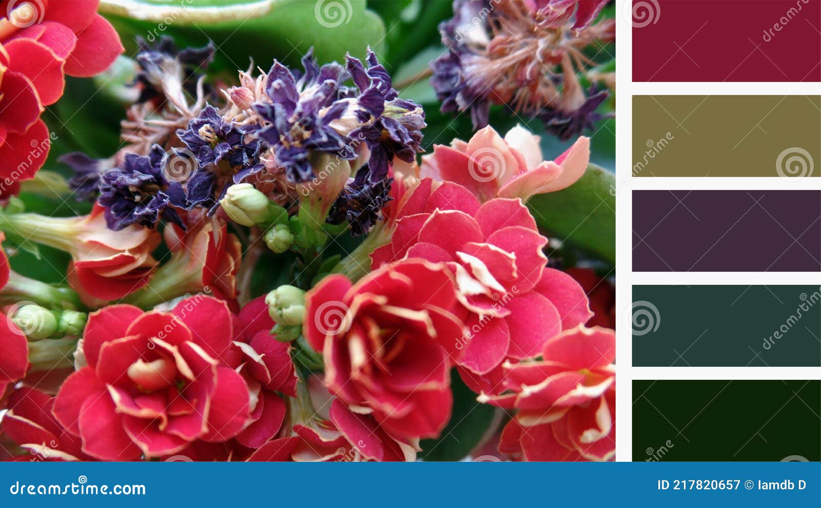 Color Palette, Bouquet of Flowers, Color Combination Stock Image ...