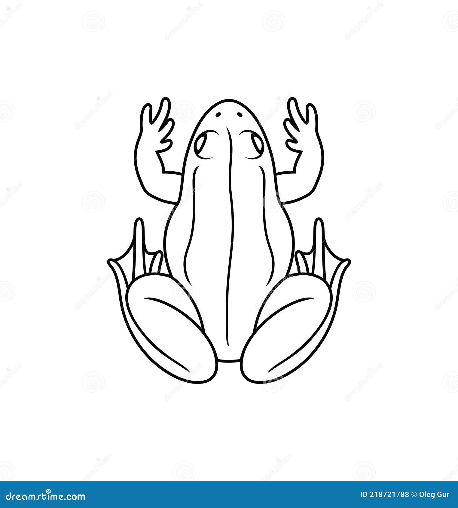 Frog Outline. Abstract Frog On White Background. Toad Vector ...