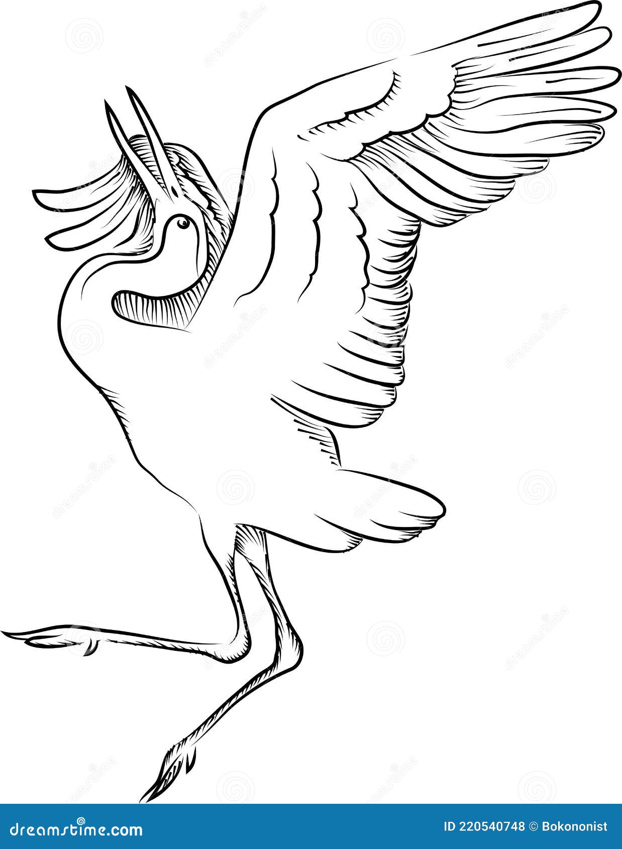 Dancing Crane Vector | CartoonDealer.com #40597455