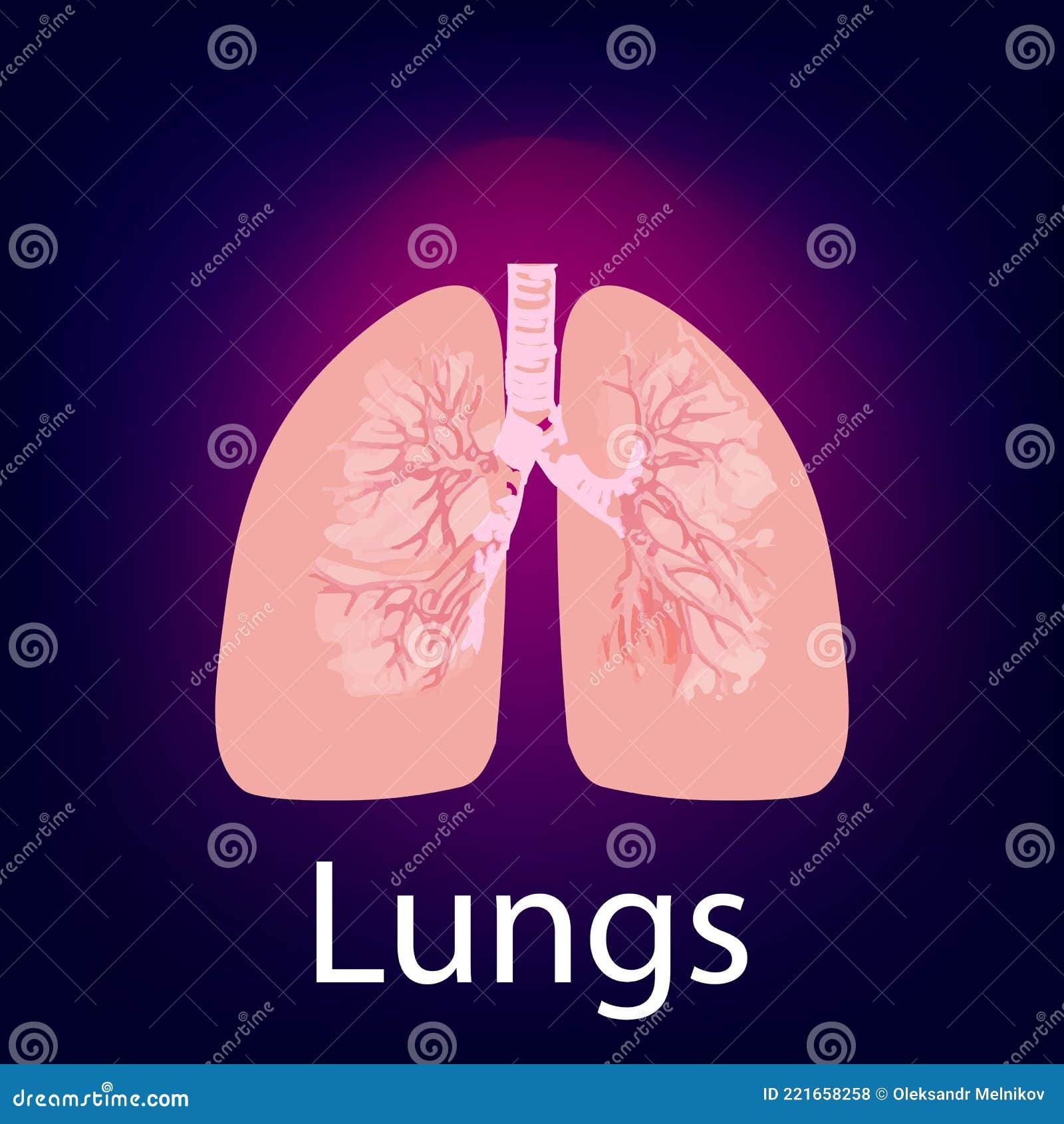 Physiological Lungs Icon. Sign for a Medical Clinic. Vector Symbol ...