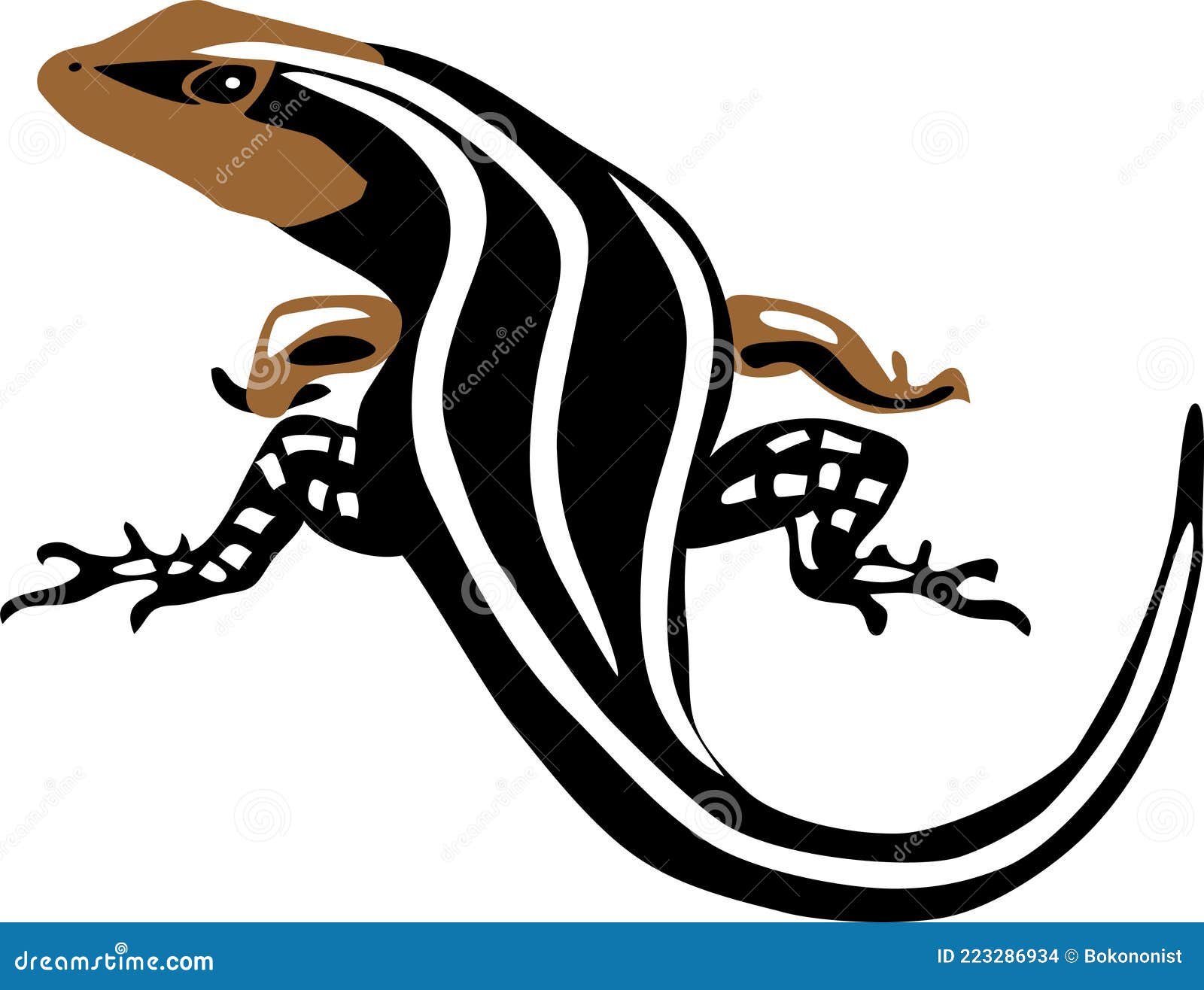 African Five-lined Skink Vector Illustration | CartoonDealer.com #223286934
