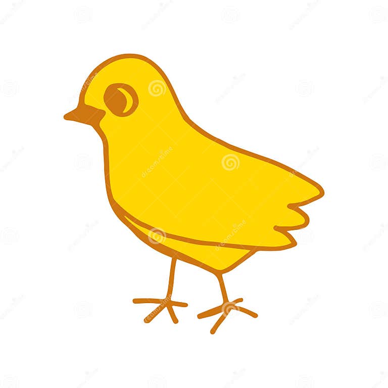 Chicken is Yellow. Isolated Vector Stock Vector - Illustration of ...