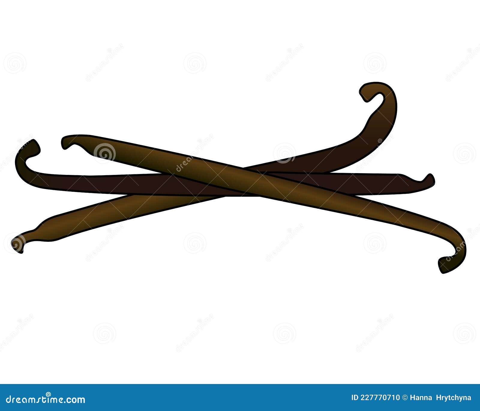 Vanilla Pod - Vector Full Color Picture for Logo or Pictogram. Vanilla ...