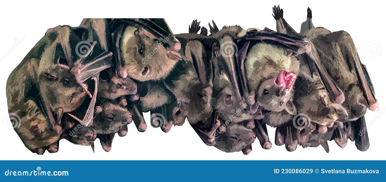 The Bats Hang Upside Down, Huddled Closely To Each Other. Cartoon ...