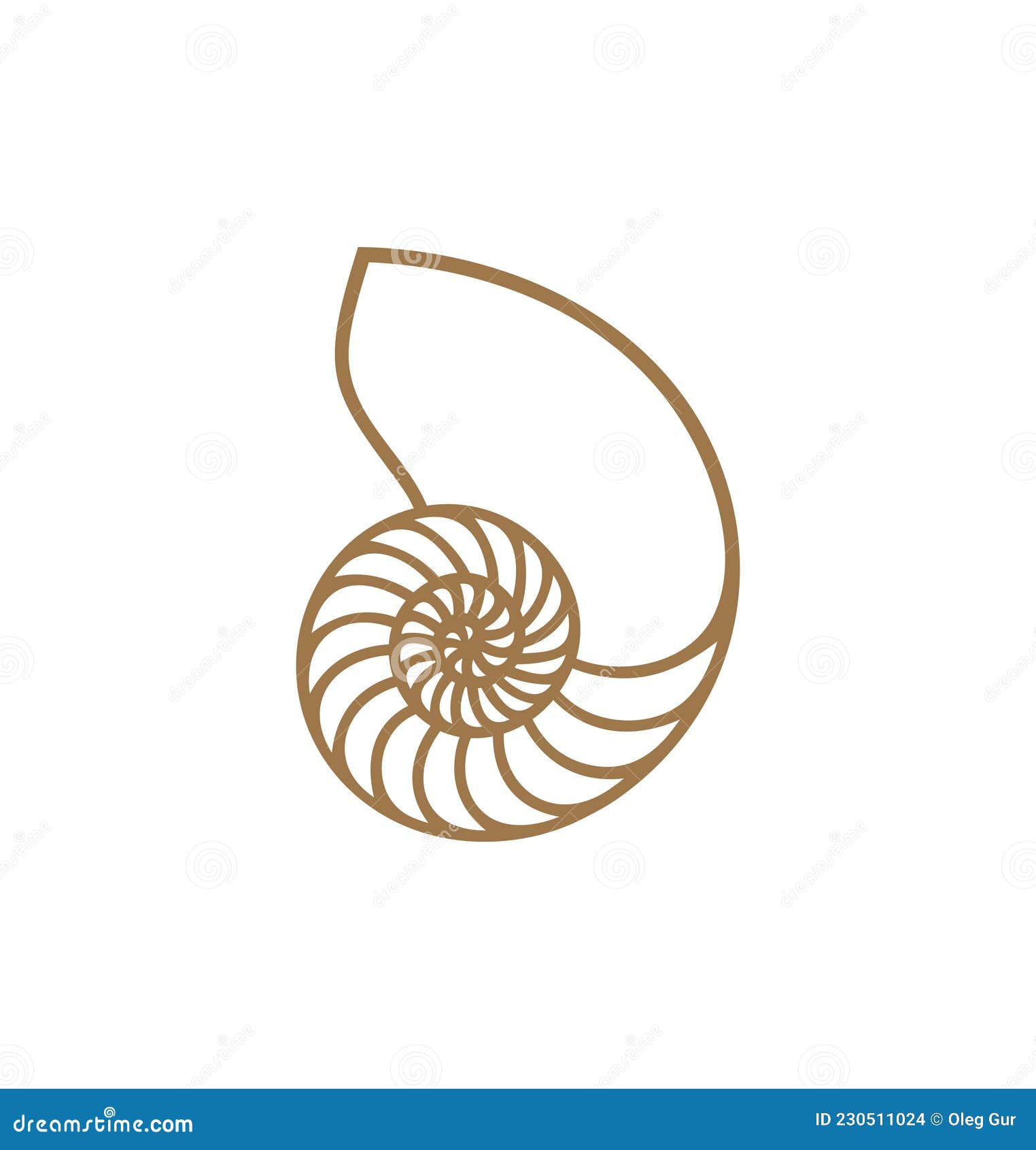 Nautilus Shell. Isolated Nautilus on White Background Stock Vector ...
