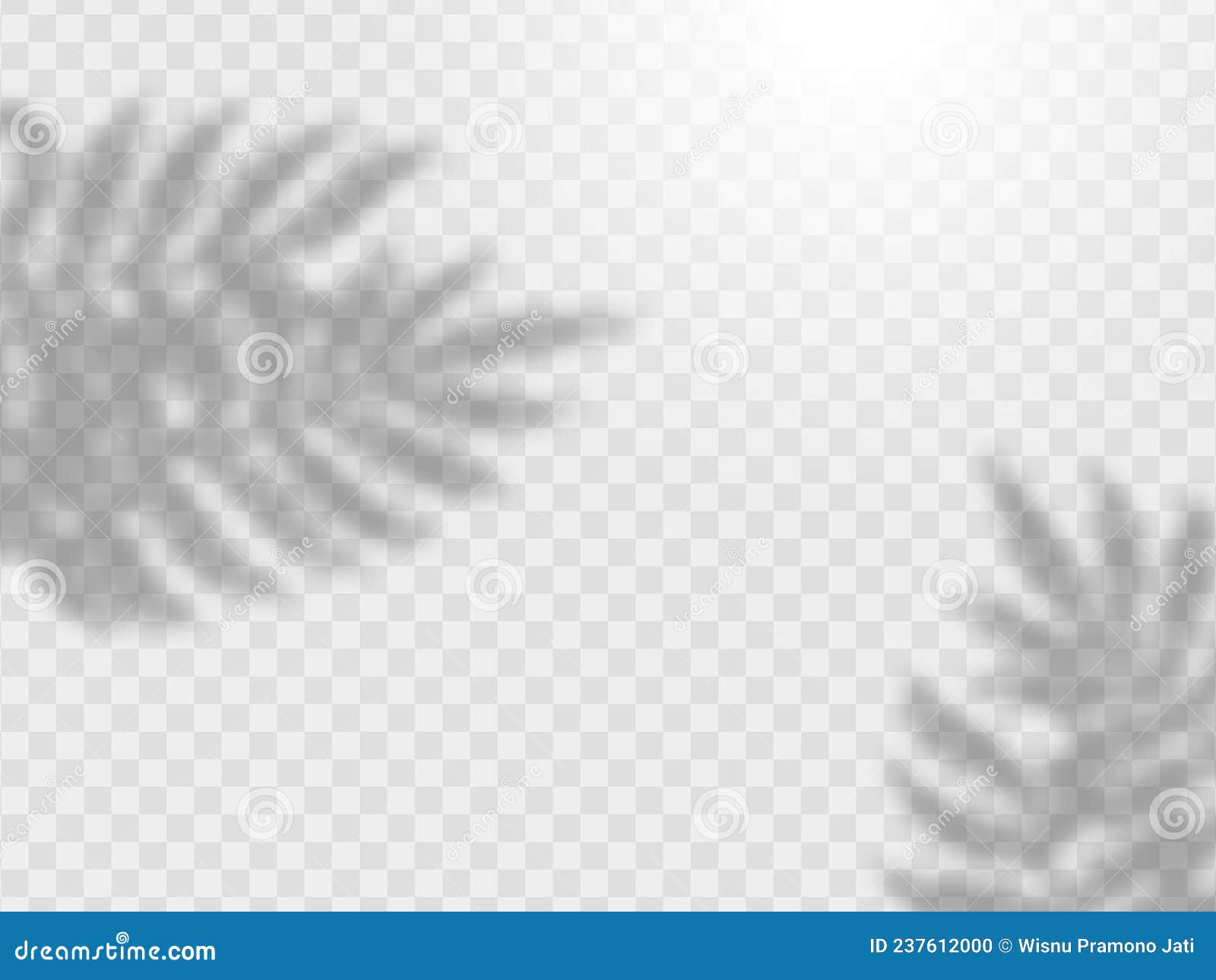 Transparent Shadows of Leaves. Decorative Design Elements for Collages ...