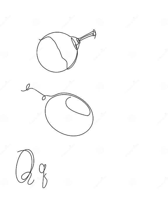 One Line Tropical Exotic Fruit Quenepa Stock Vector - Illustration of ...