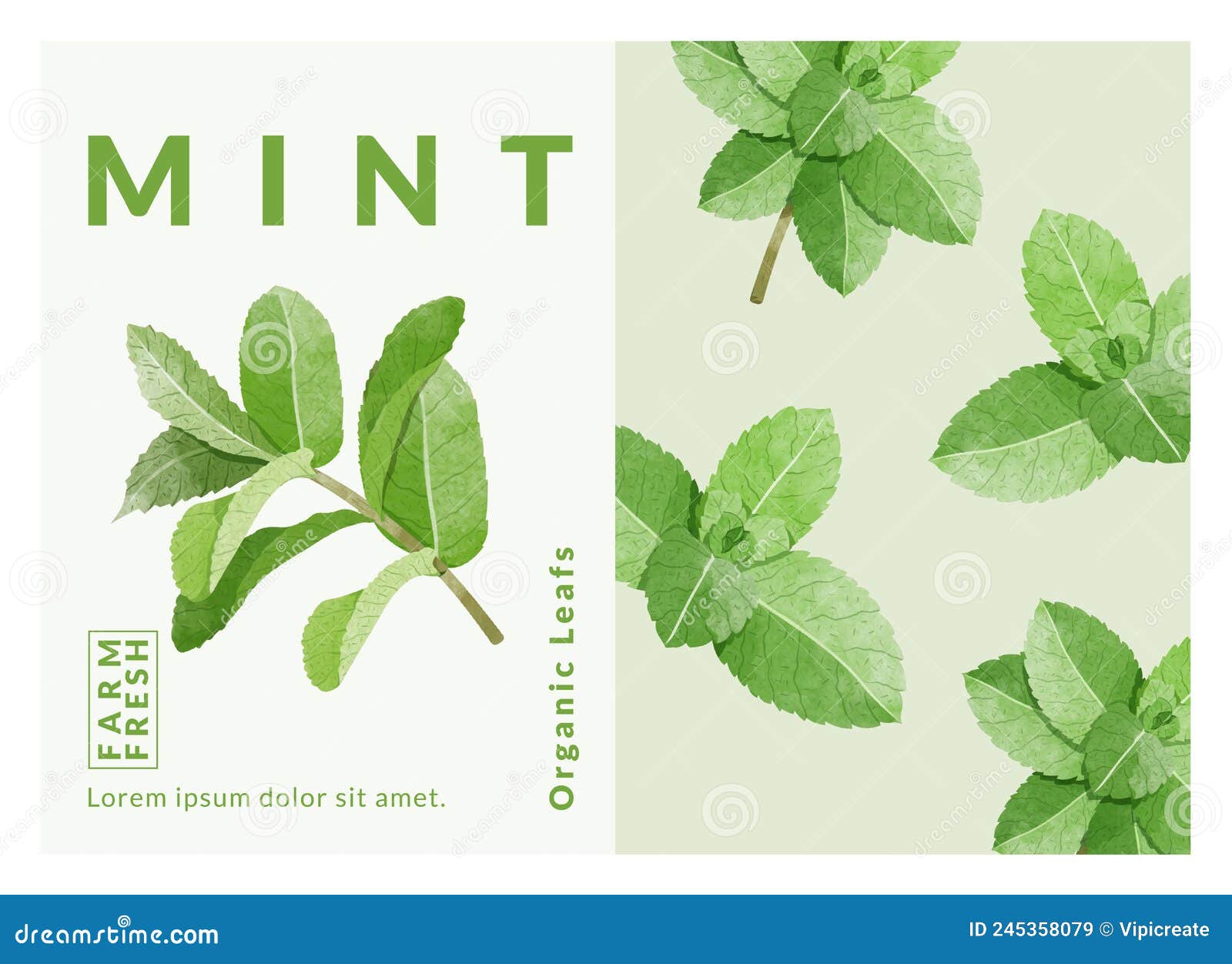 Mint Leaf Packaging Design Templates, Watercolour Style Vector ...