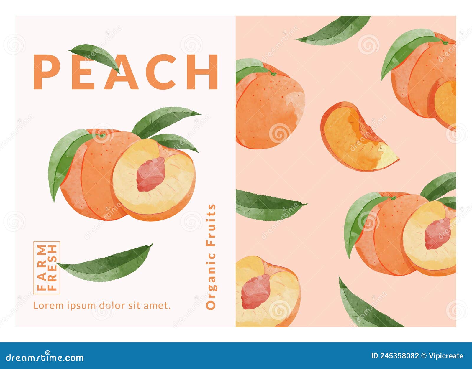Peach Packaging Design Templates, Watercolour Style Vector Illustration ...