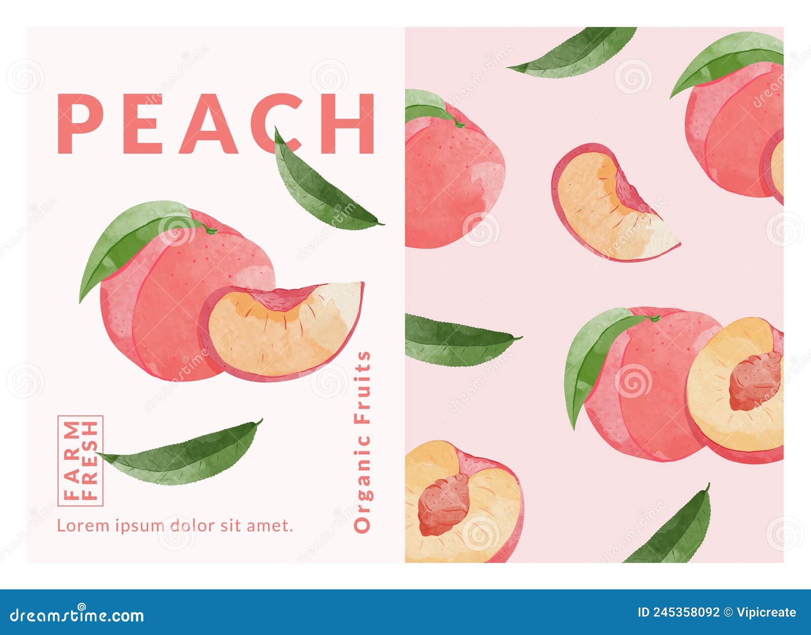 Peach Packaging Design Templates, Watercolour Style Vector Illustration ...