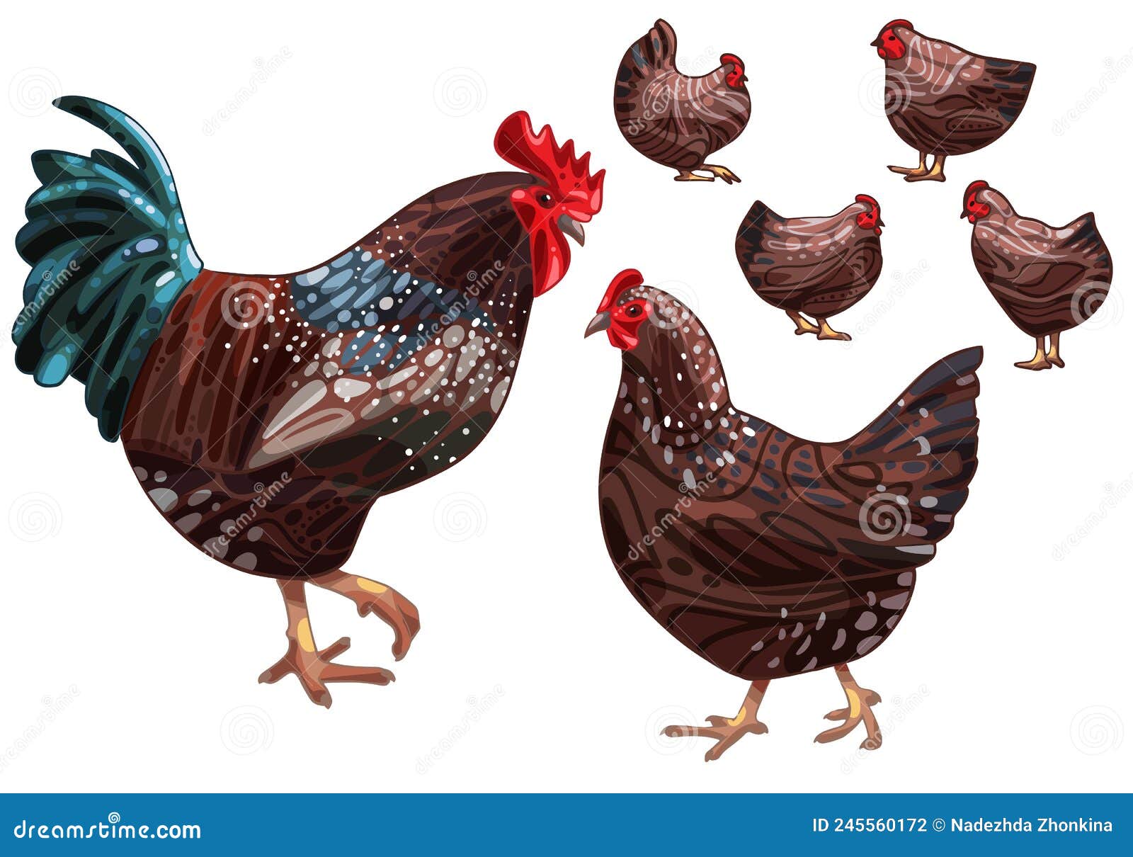 Sussex Chicken Or Hen Side View Drawing Vector Illustration ...