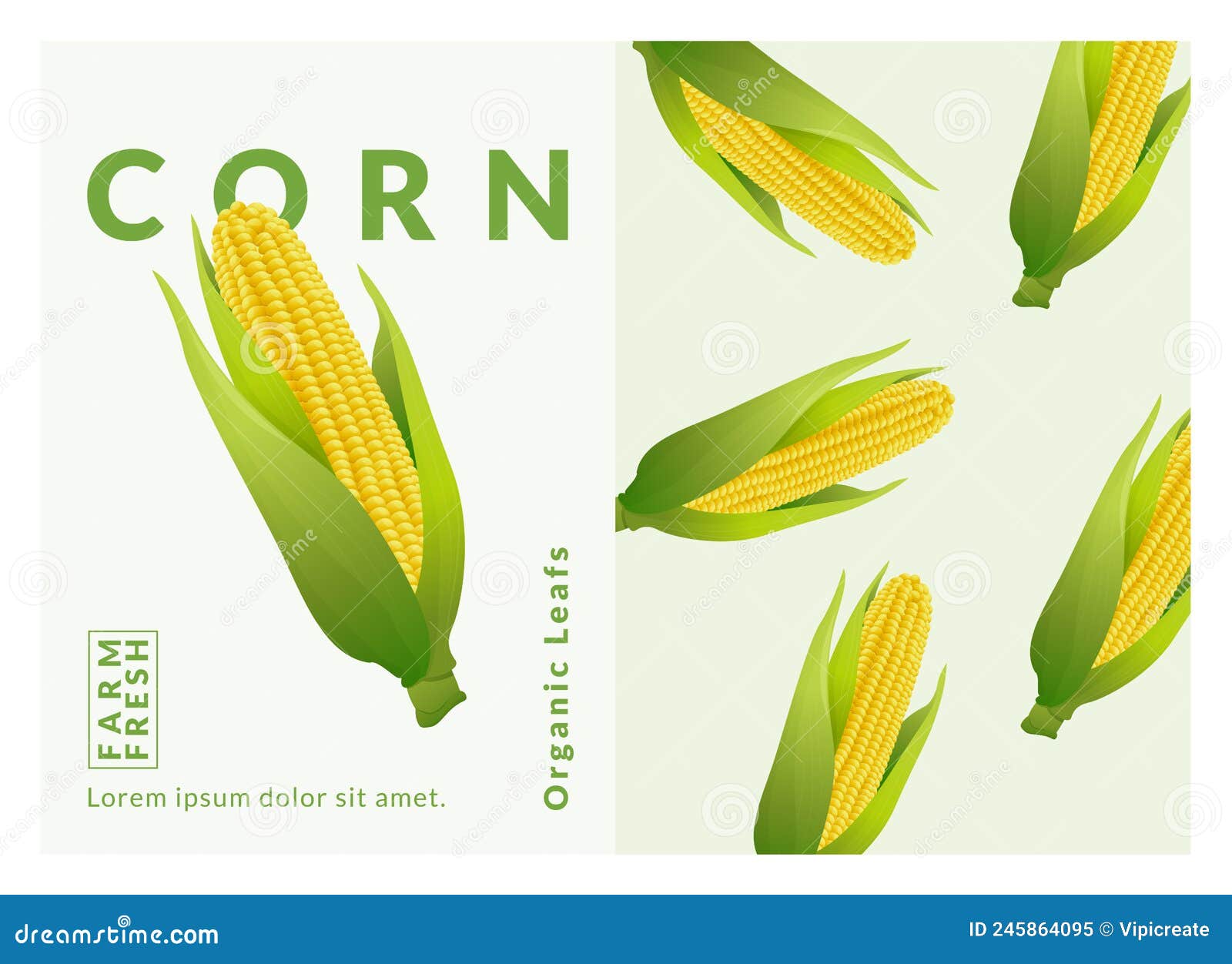 Corn Packaging Design Templates, Watercolour Style Vector Illustration ...