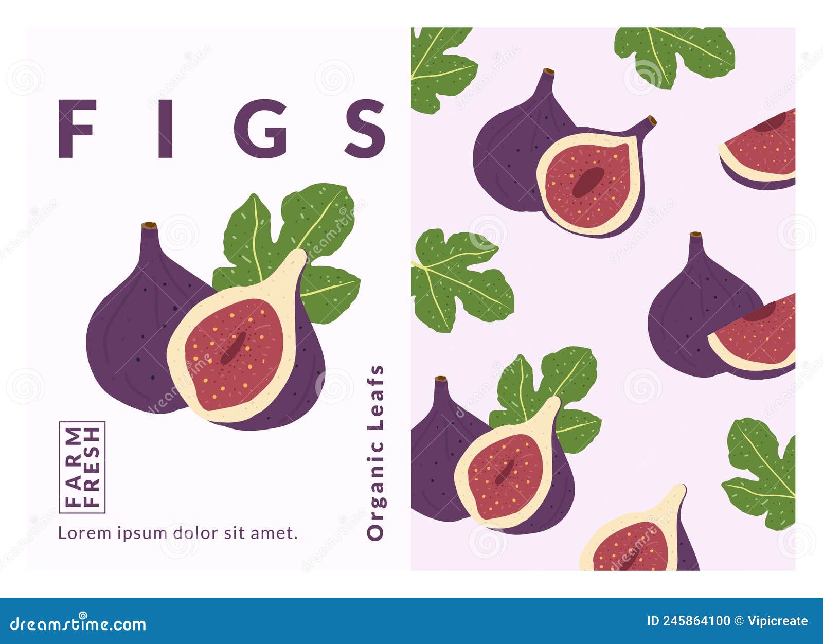 Fig Packaging Design Templates, Watercolour Style Vector Illustration ...