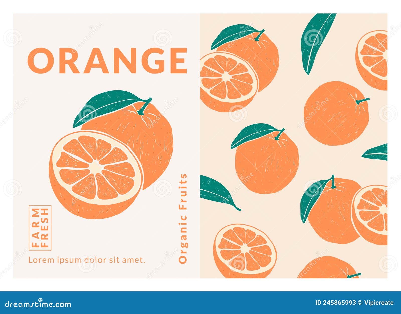 Orange Label Packaging Design Templates, Hand Drawn Style Vector ...