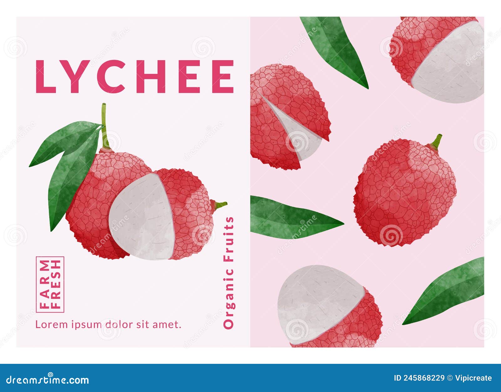 Lychee Fruit Packaging Design Templates, Watercolour Style Vector ...